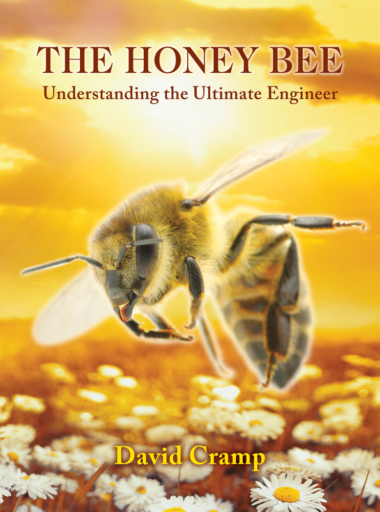 The Honey Bee: Understanding the Ultimate Engineer by David Cramp ...