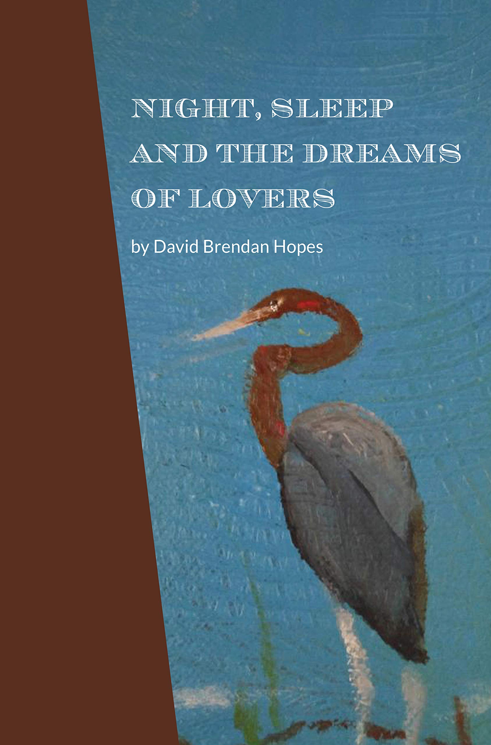 Night, Sleep and the Dreams of Lovers by David Brendan Hopes | Goodreads