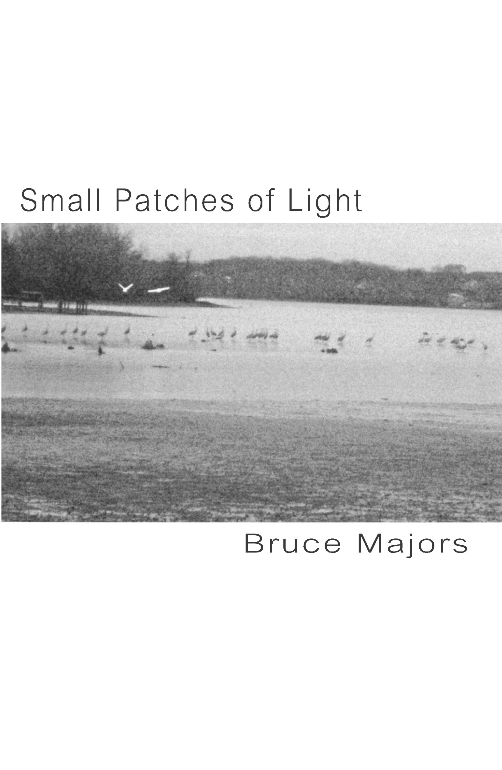Small Patches of Light by Bruce Majors | Goodreads