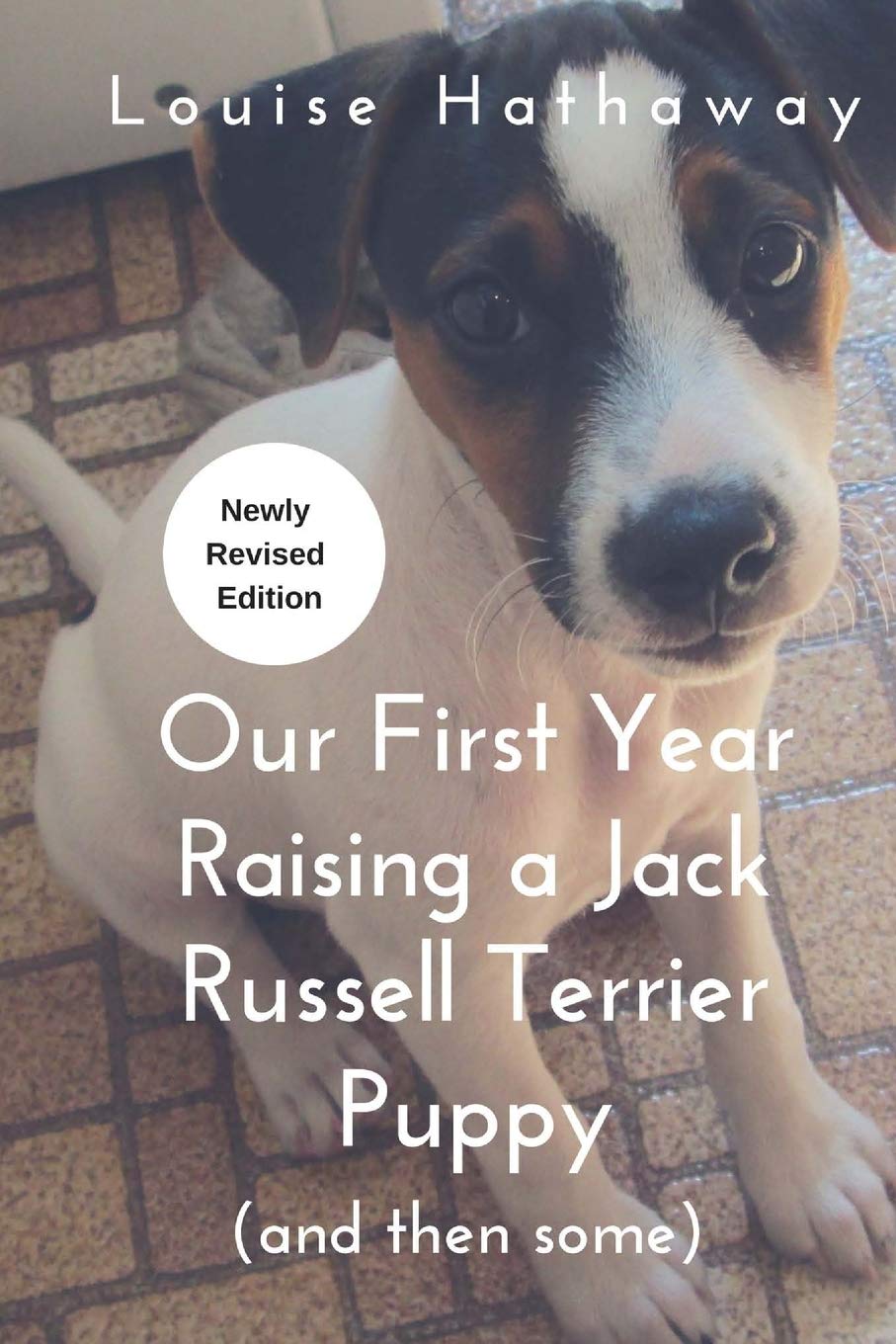 Our First Year Raising A Jack Russell Terrier by Louise Hathaway ...