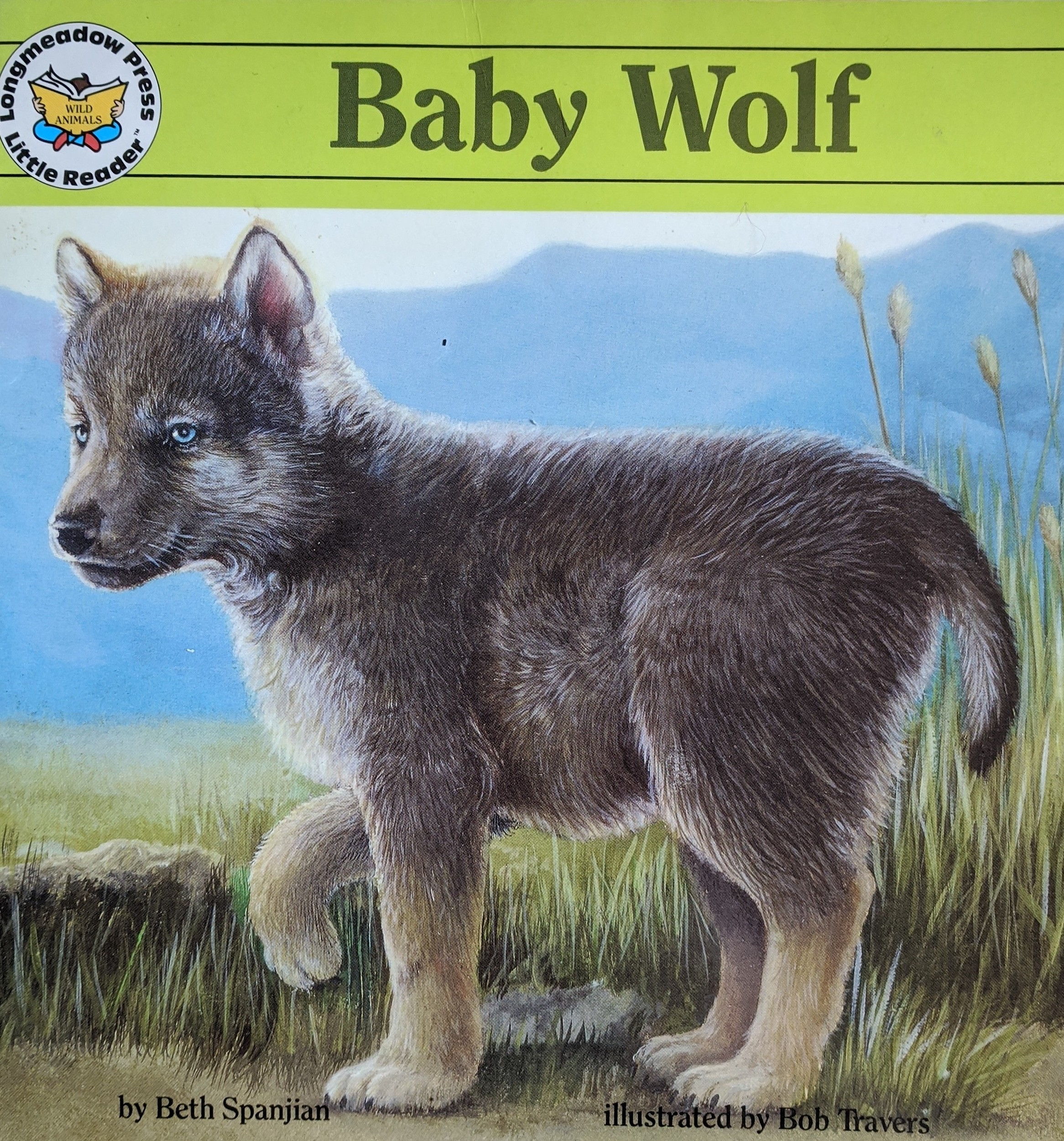 Baby Wolf Dog
