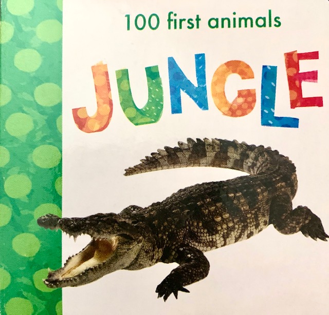 100 First Animals: Jungle by Little Tiger Kids | Goodreads