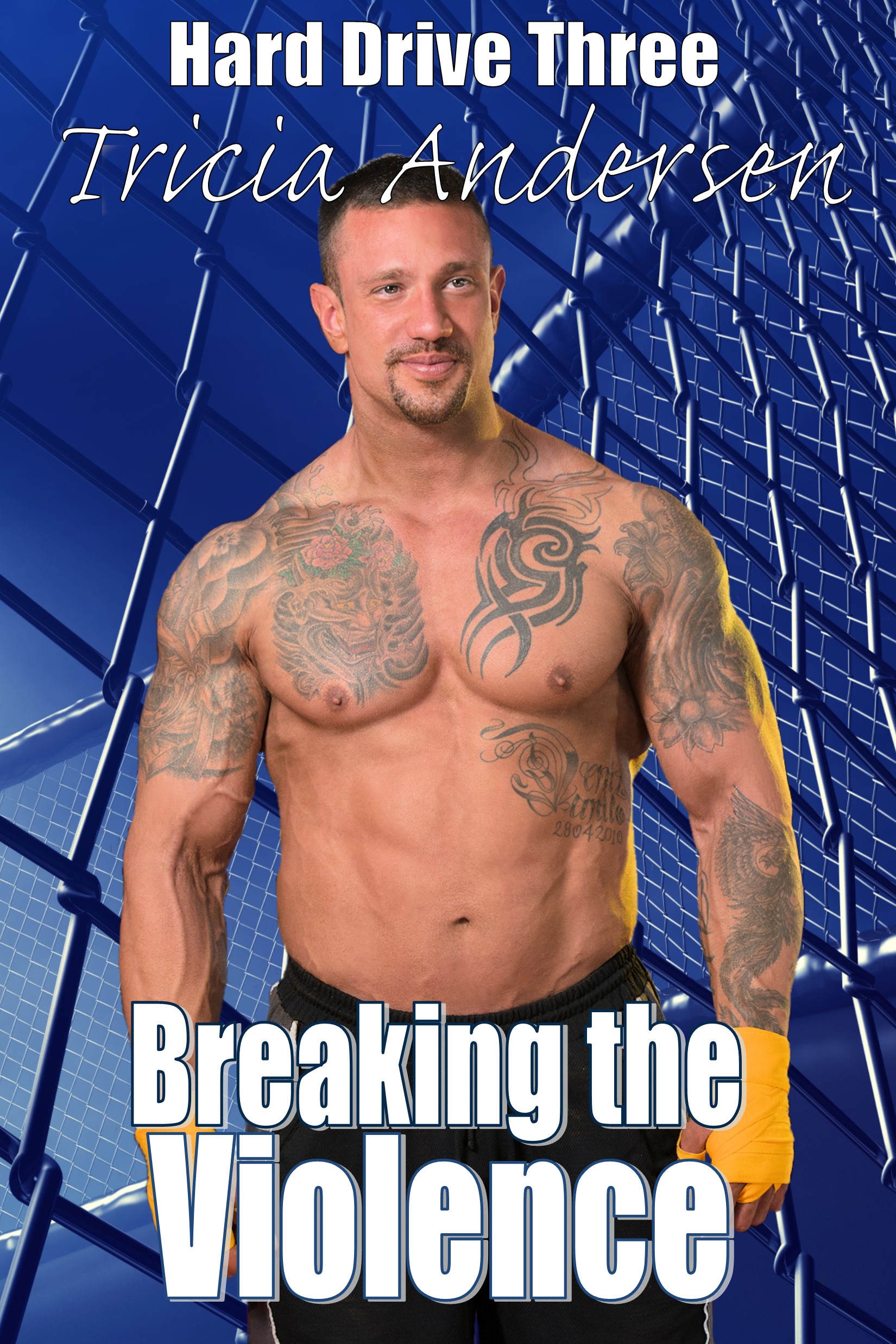 Breaking the Violence by Tricia Andersen | Goodreads