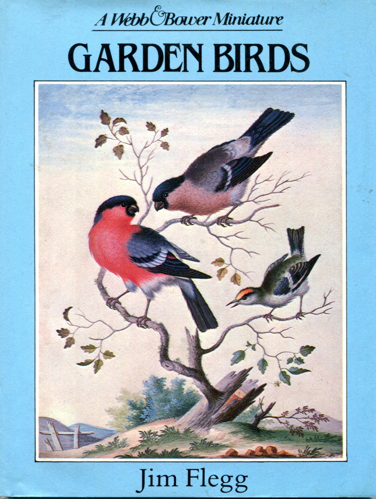 Garden Birds by Jim Flegg | Goodreads
