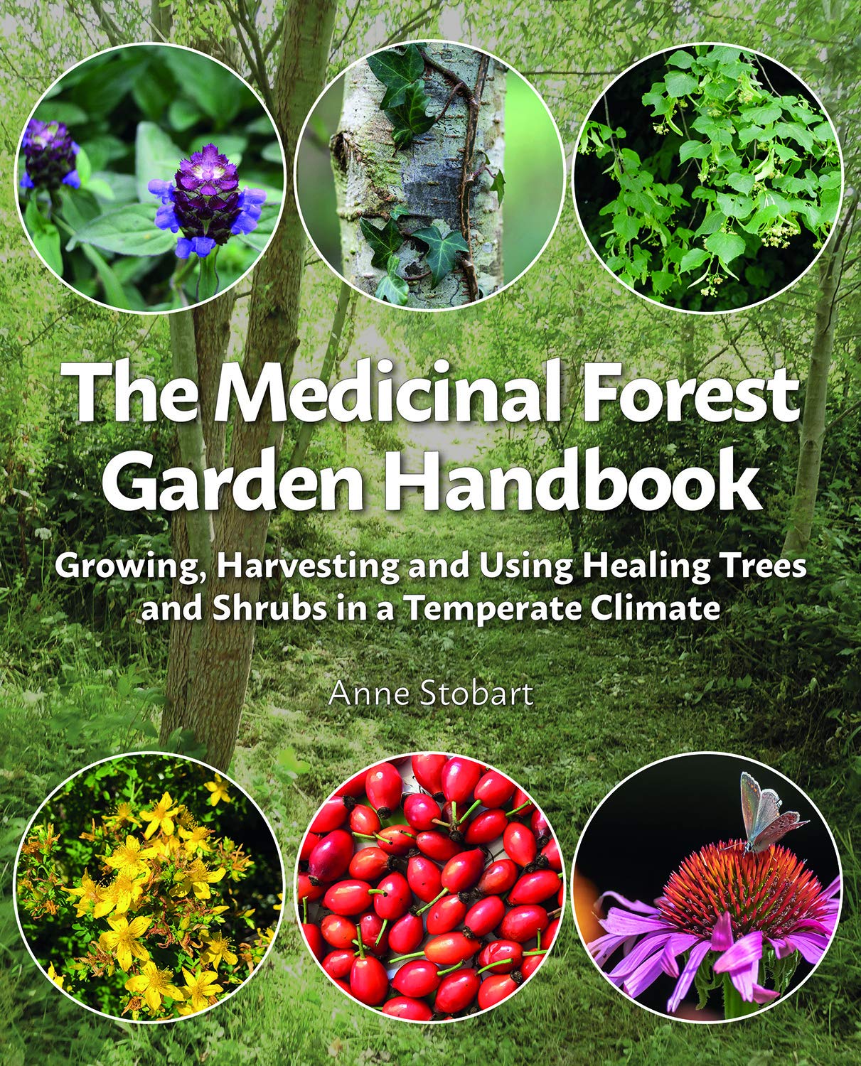 The Medicinal Forest Garden Handbook: Growing, Harvesting and Using ...