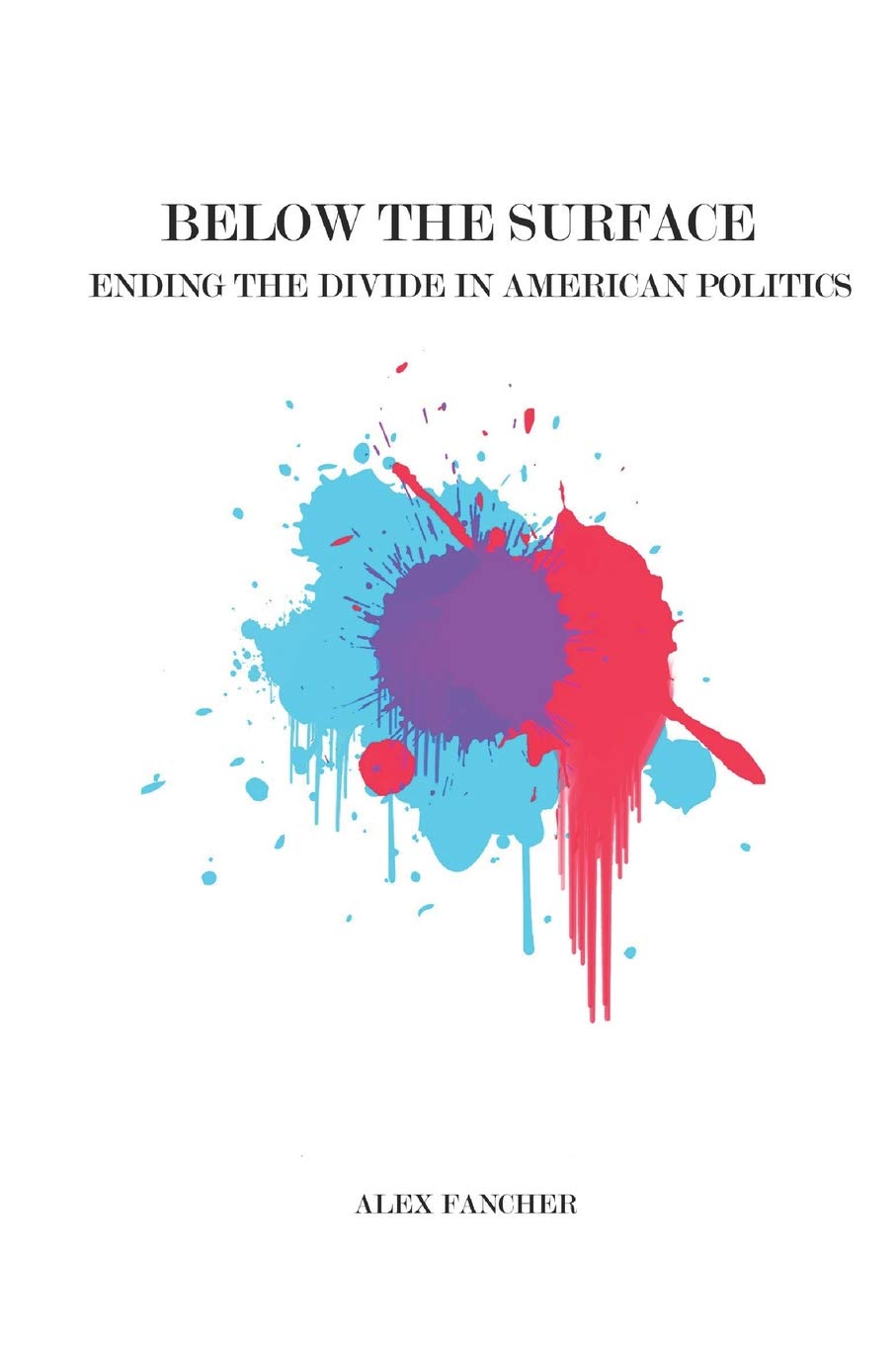 Below the Surface: Ending the Divide in American Politics by Alexander ...