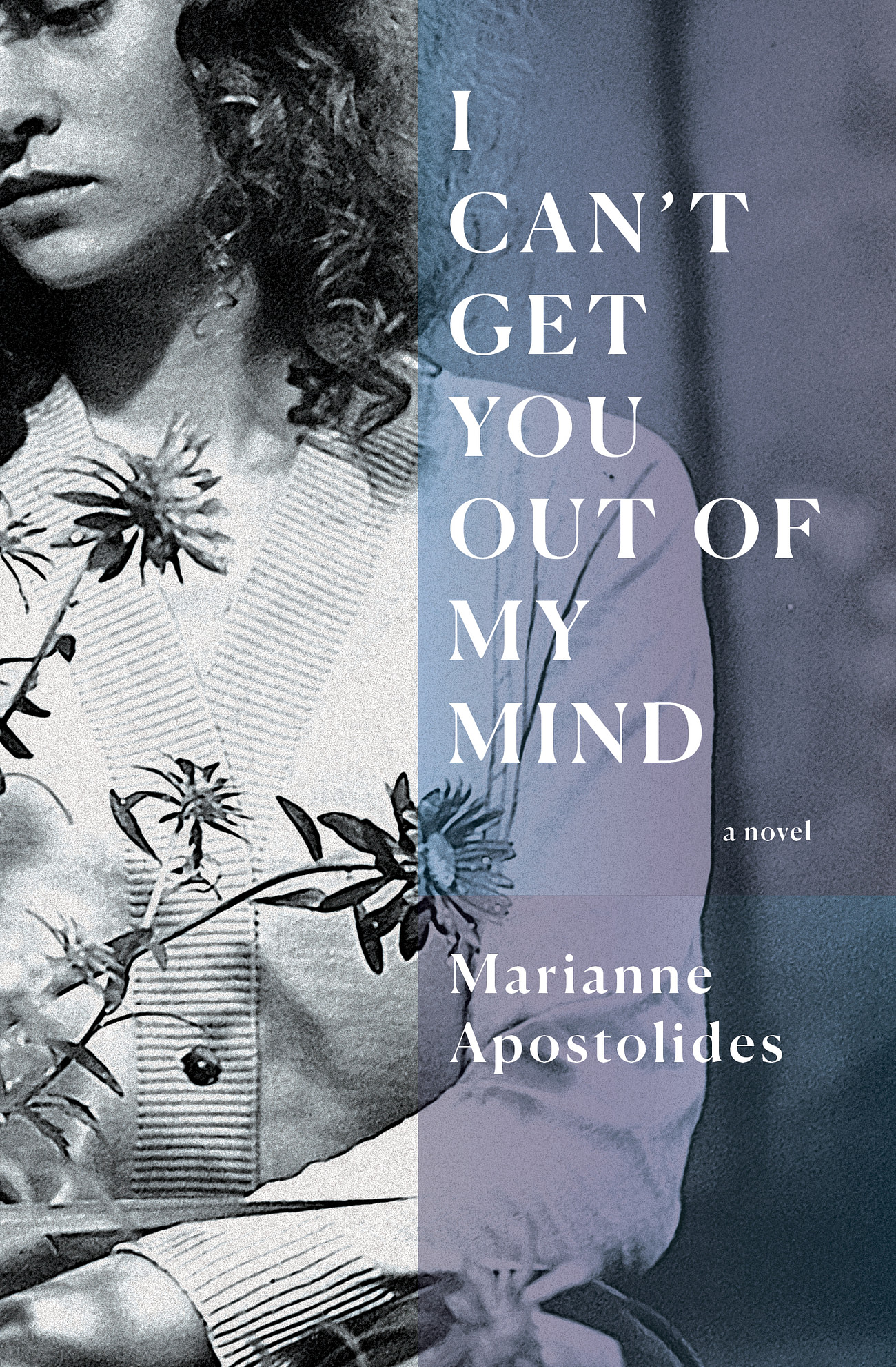 I Can’t Get You Out of My Mind by Marianne Apostolides | Goodreads