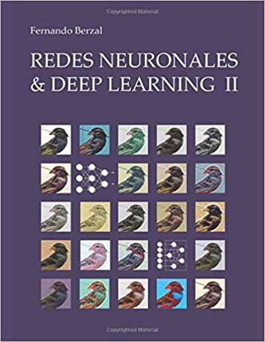 Redes Neuronales & Deep Learning - Volumen 2: Regularización, optimización y arquitecturas ...