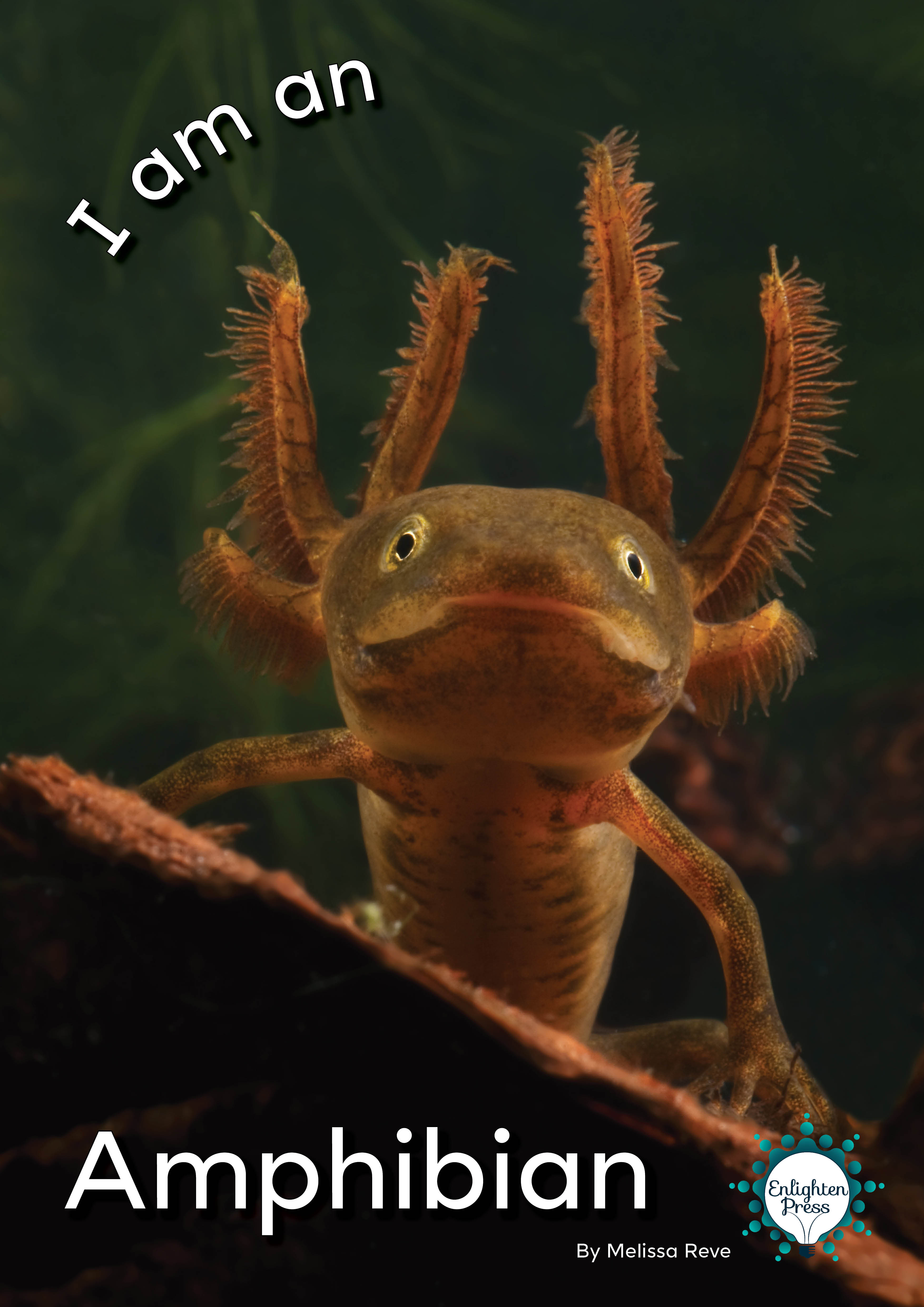 I Am An Amphibian by Melissa Reve | Goodreads