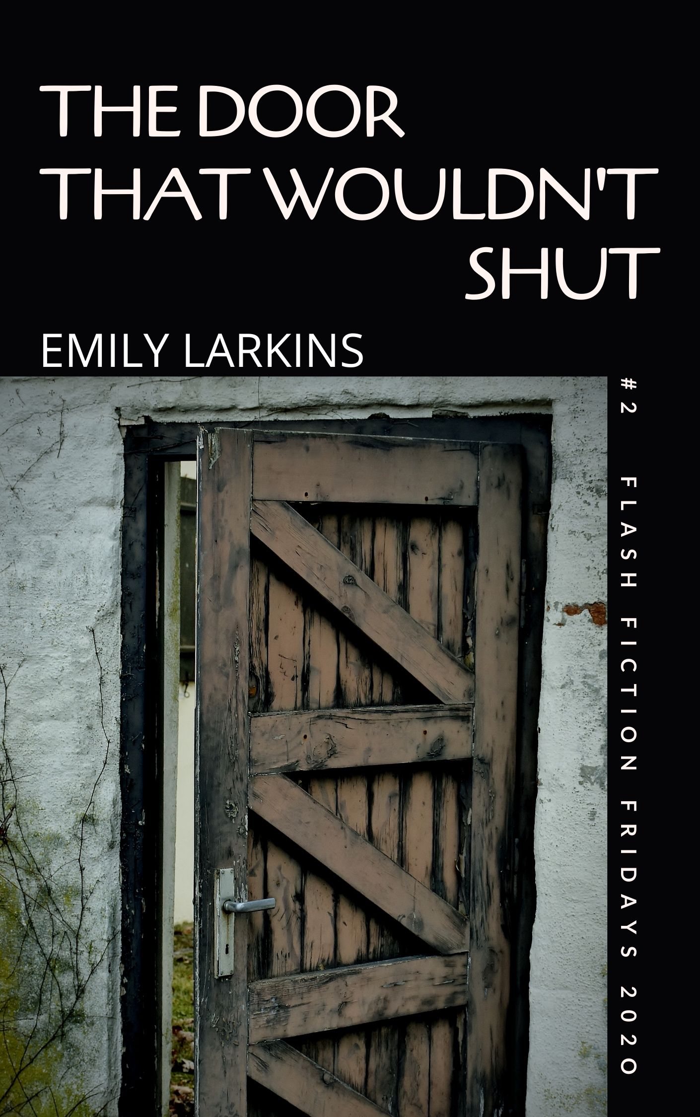The Door That Wouldn't Shut by Emily Larkins | Goodreads