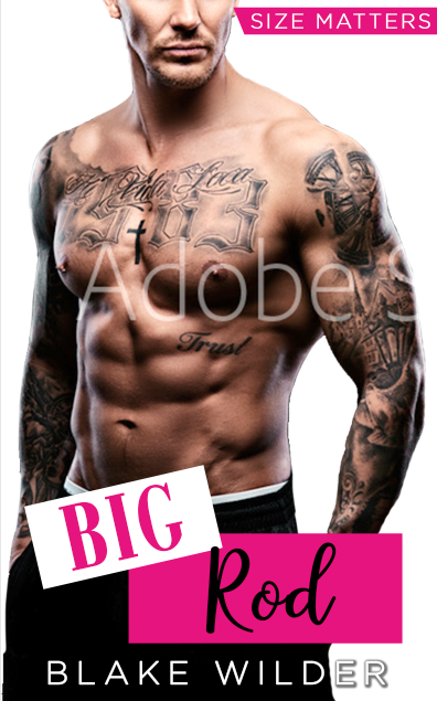 Big Rod (Size Matters #4) by Blake Wilder | Goodreads