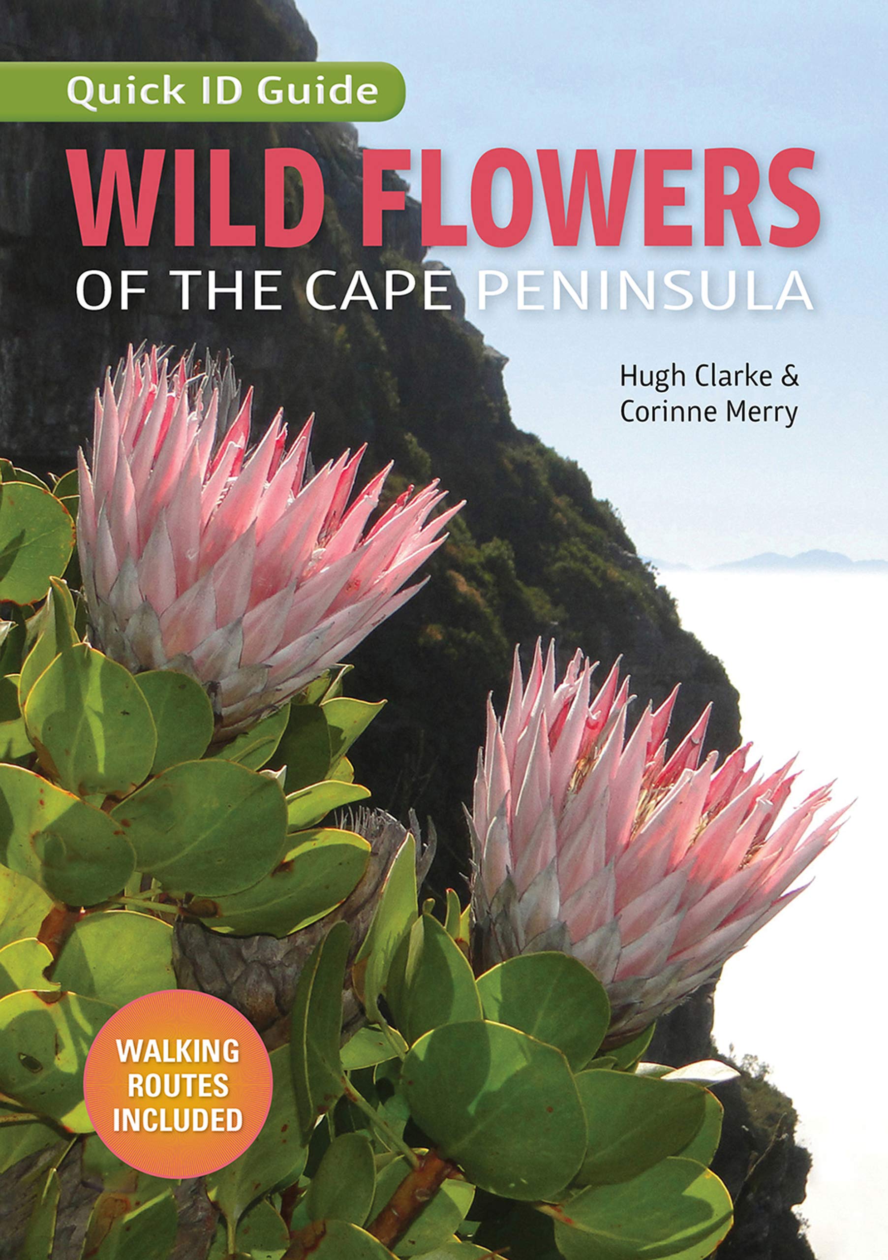 Wild Flowers of the Cape Peninsula – Quick ID Guide by Hugh Clarke ...