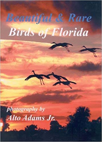 Beautiful & Rare Birds of Florida by Alto Adams Jr. | Goodreads