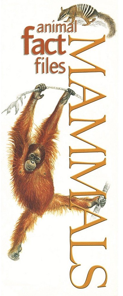 Animal Fact Files Mammals by Amy-Jane Beer | Goodreads