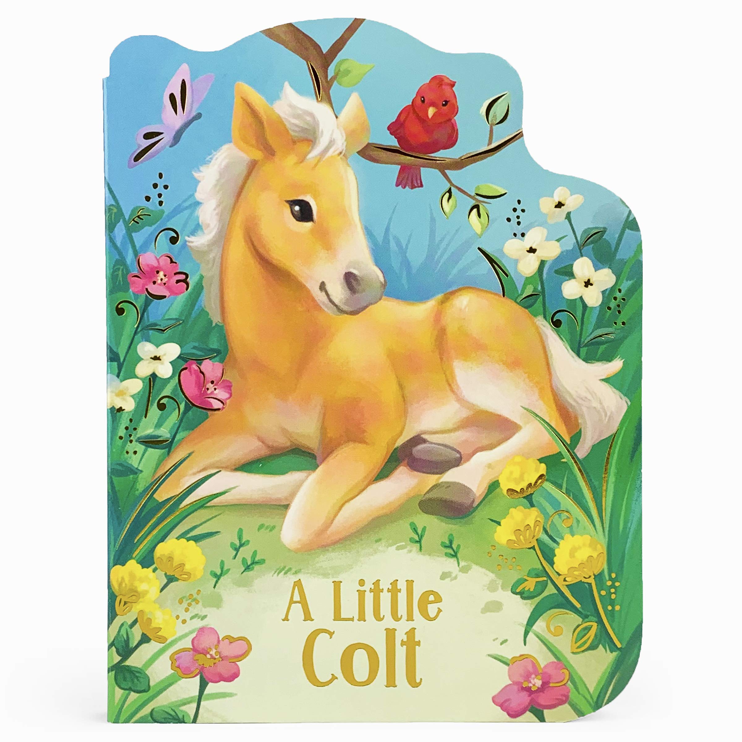 A Little Colt: A Baby Horse Board Book Story by Rosalee Wren | Goodreads
