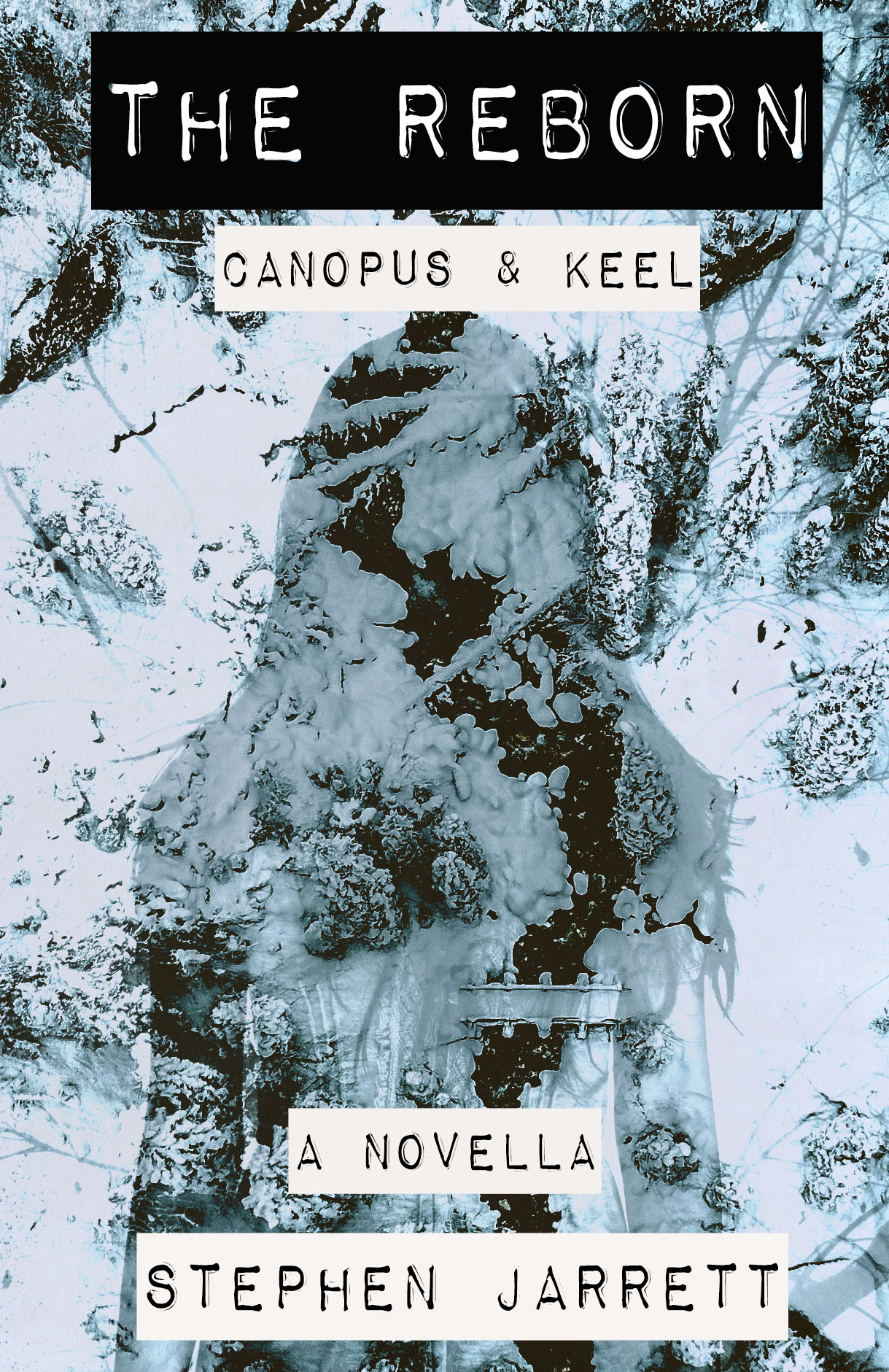 The Reborn by Stephen Jarrett | Goodreads