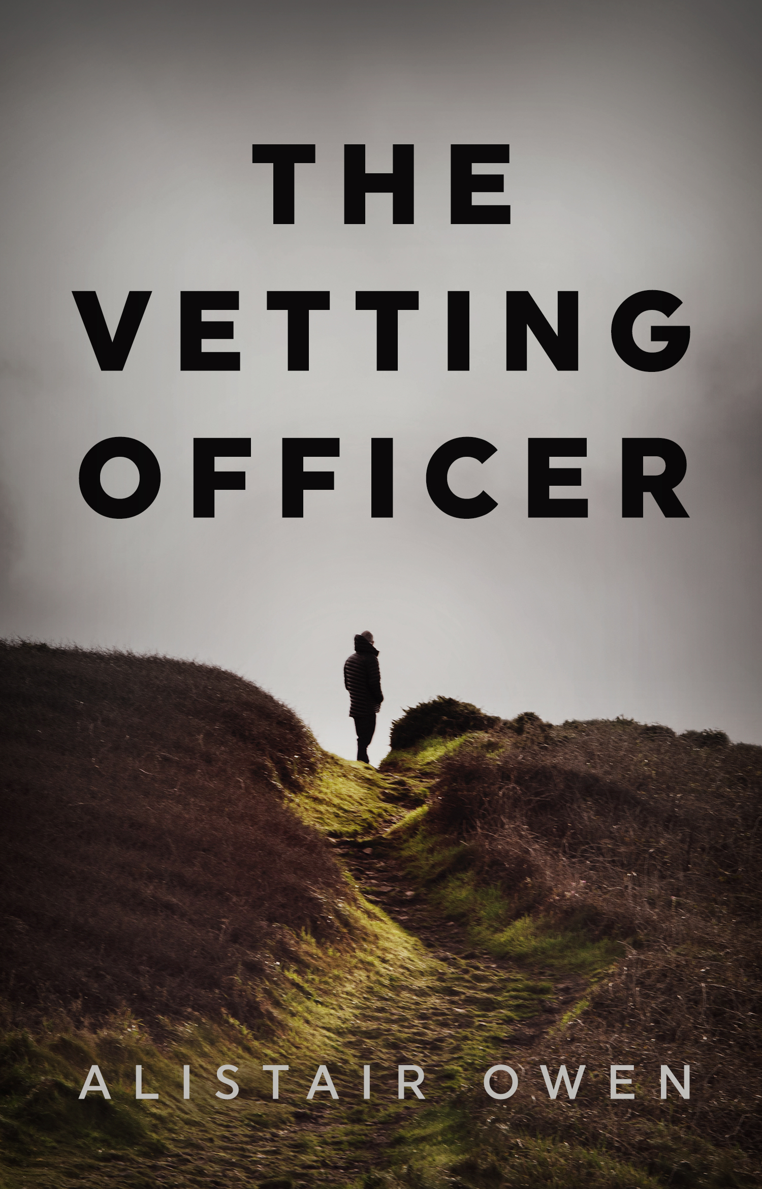 The Vetting Officer by Alistair Owen | Goodreads