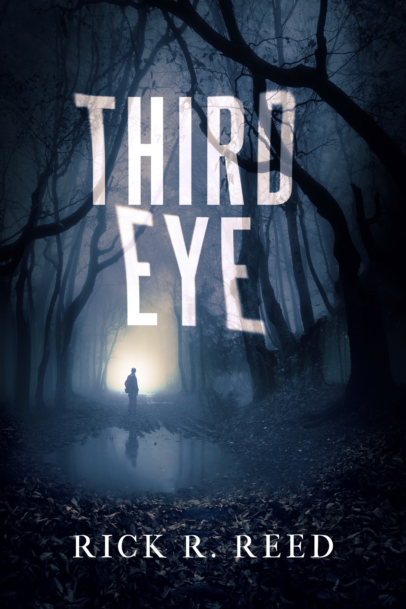 Third Eye by Rick R. Reed | Goodreads