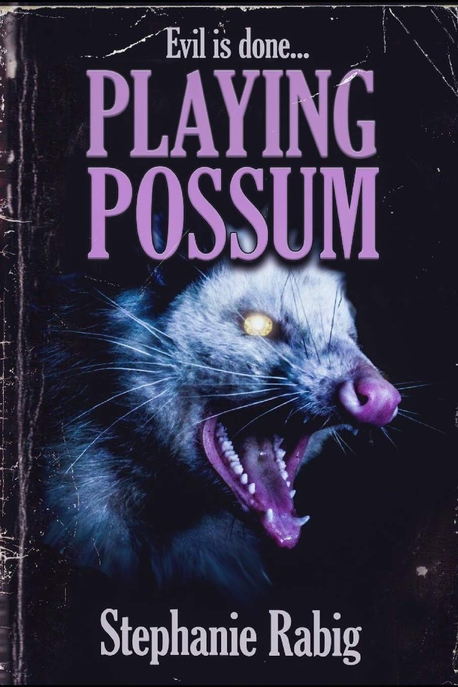 Playing Possum by Stephanie Rabig | Goodreads