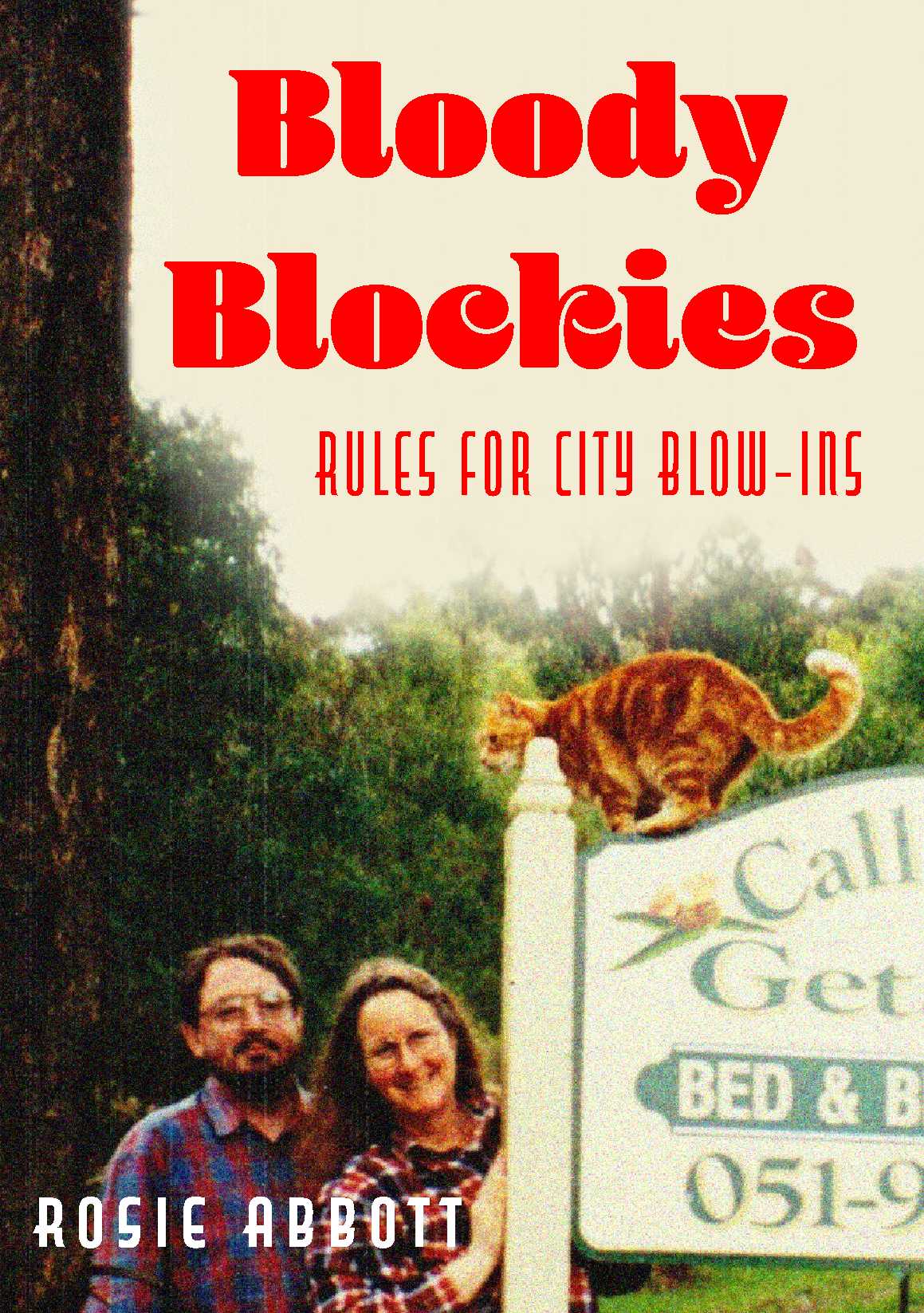 Bloody Blockies: Rules for City Blow-Ins by Rosie Abbott | Goodreads