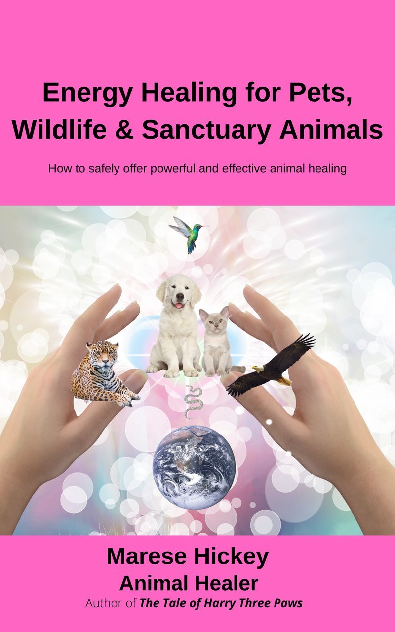 Energy Healing for Pets, Wildlife & Sanctuary Animals: How to safely ...