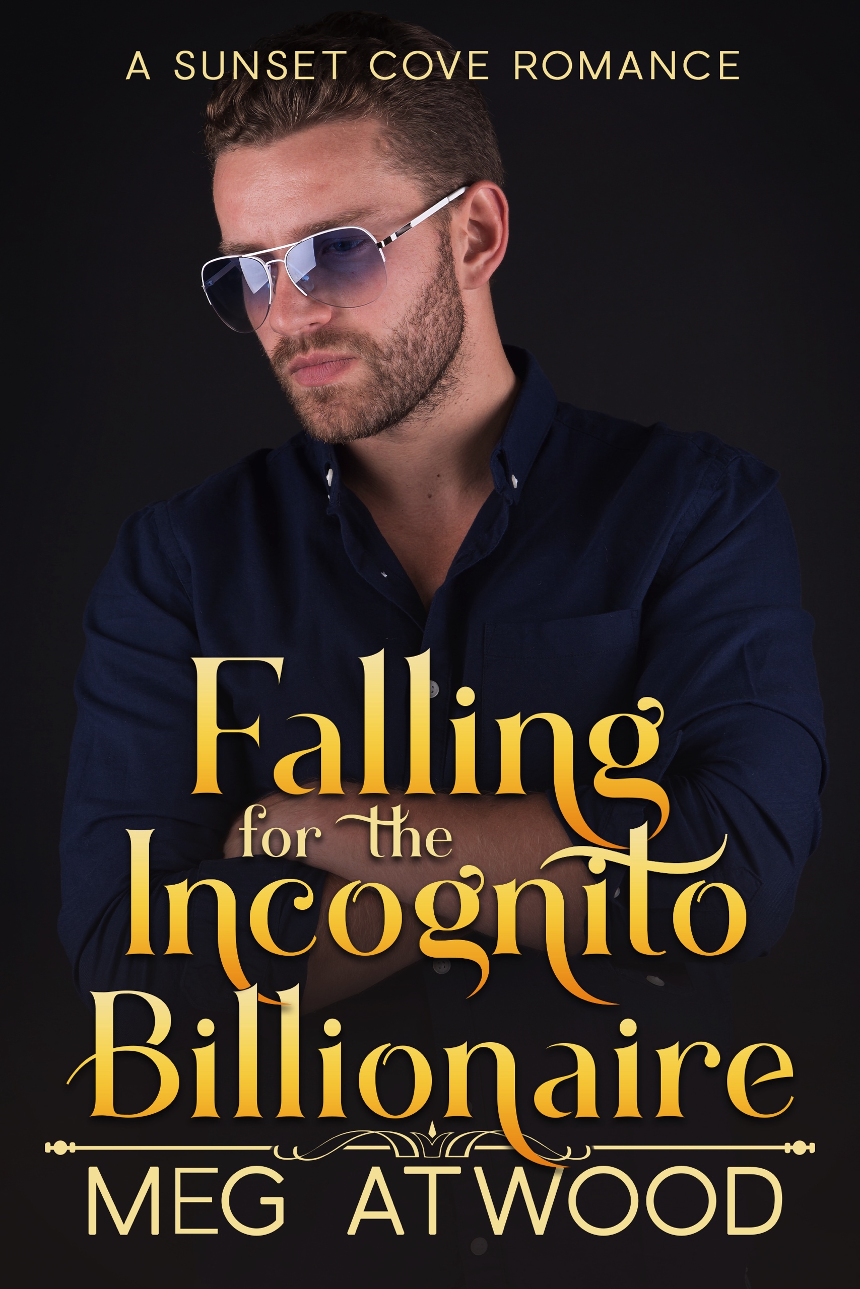Falling for the Incognito Billionaire by Meg Atwood | Goodreads