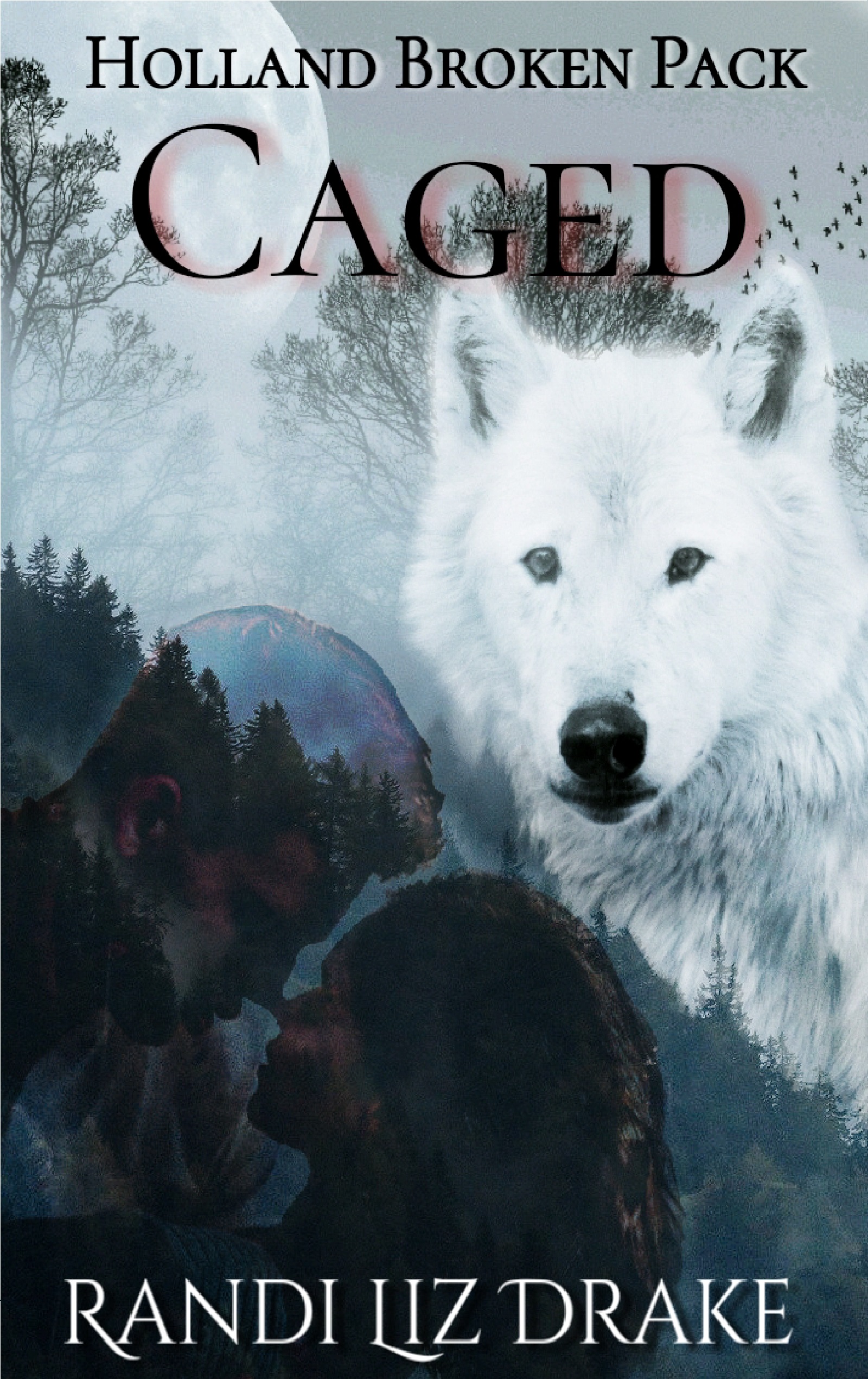 Caged: Holland Broken Pack: Book 1 by Randi Liz Drake | Goodreads