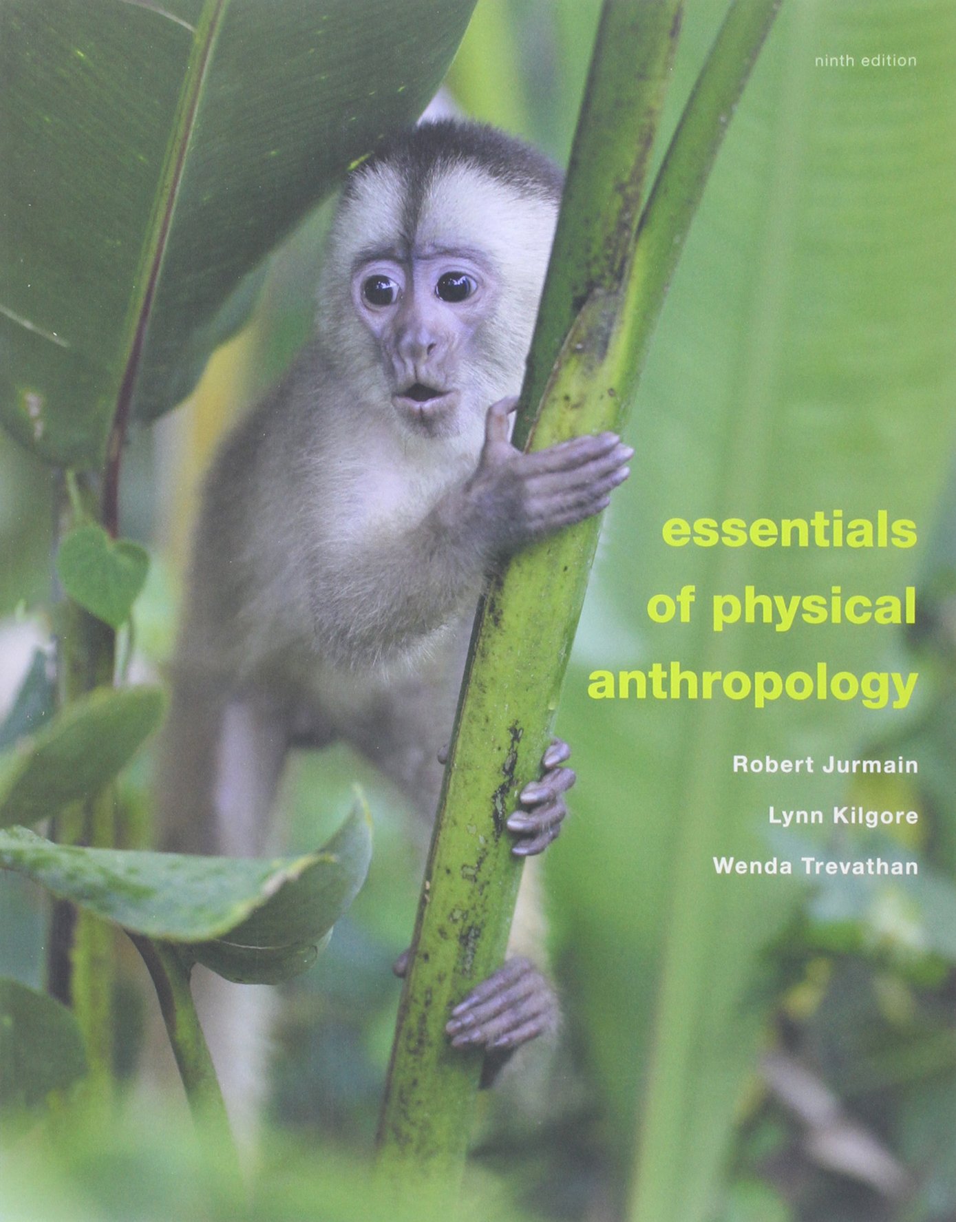 Bundle: Essentials of Physical Anthropology, Loose-leaf Version, 9th ...