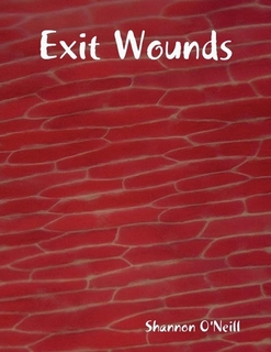Exit Wounds by Shannon O'Neill | Goodreads