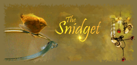 The Snidget by Ac1d6urn (Acid) | Goodreads