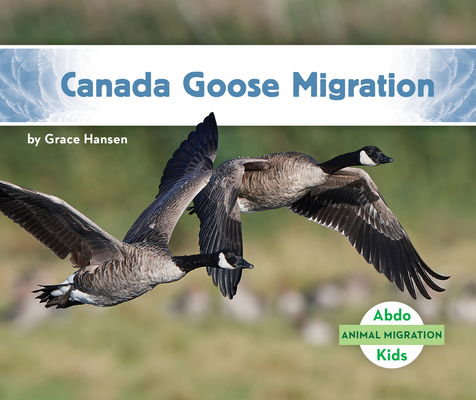 Canada Goose Migration (Animal Migration Set 2) by Grace Hansen | Goodreads