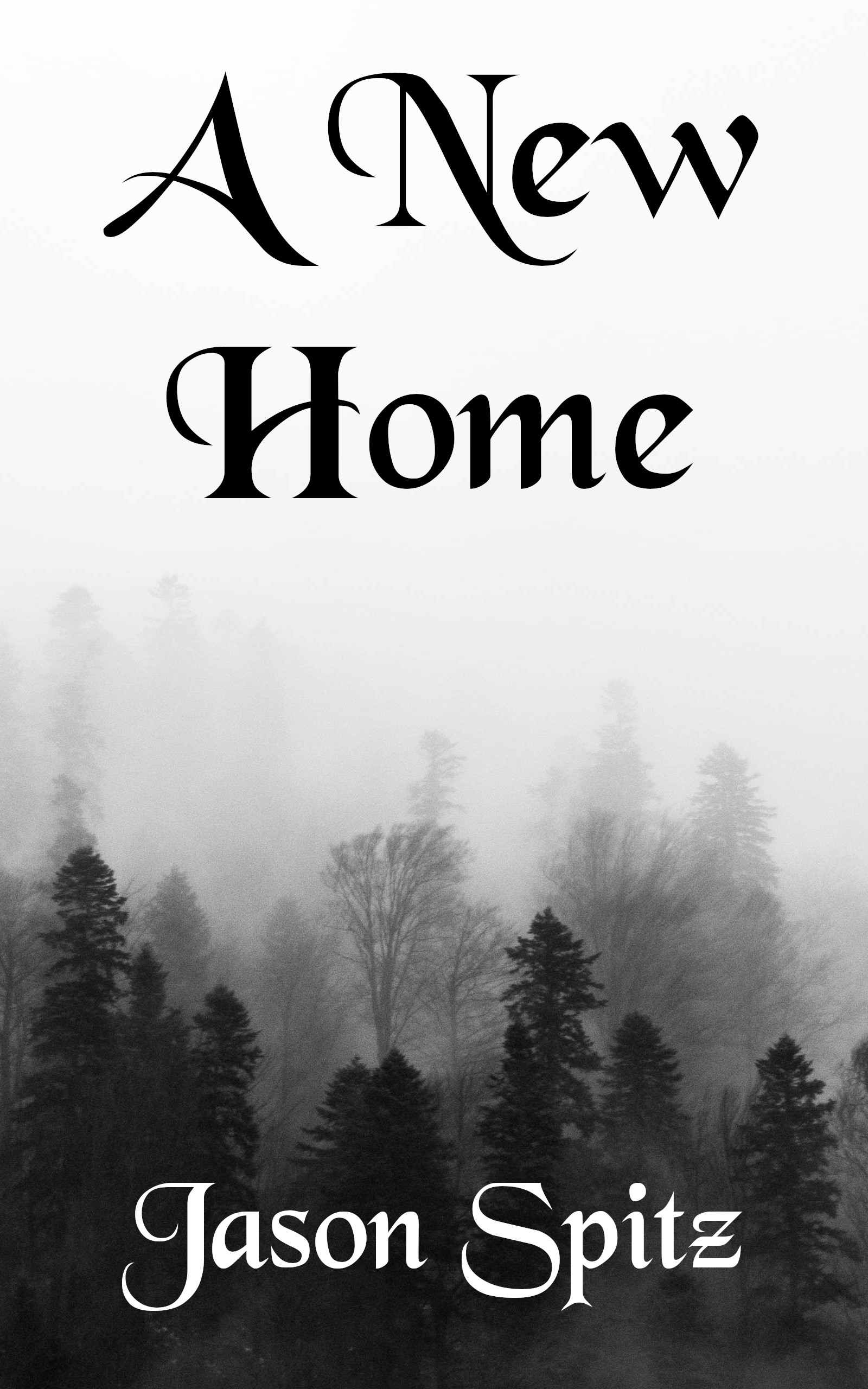 A New Home by Jason Spitz | Goodreads