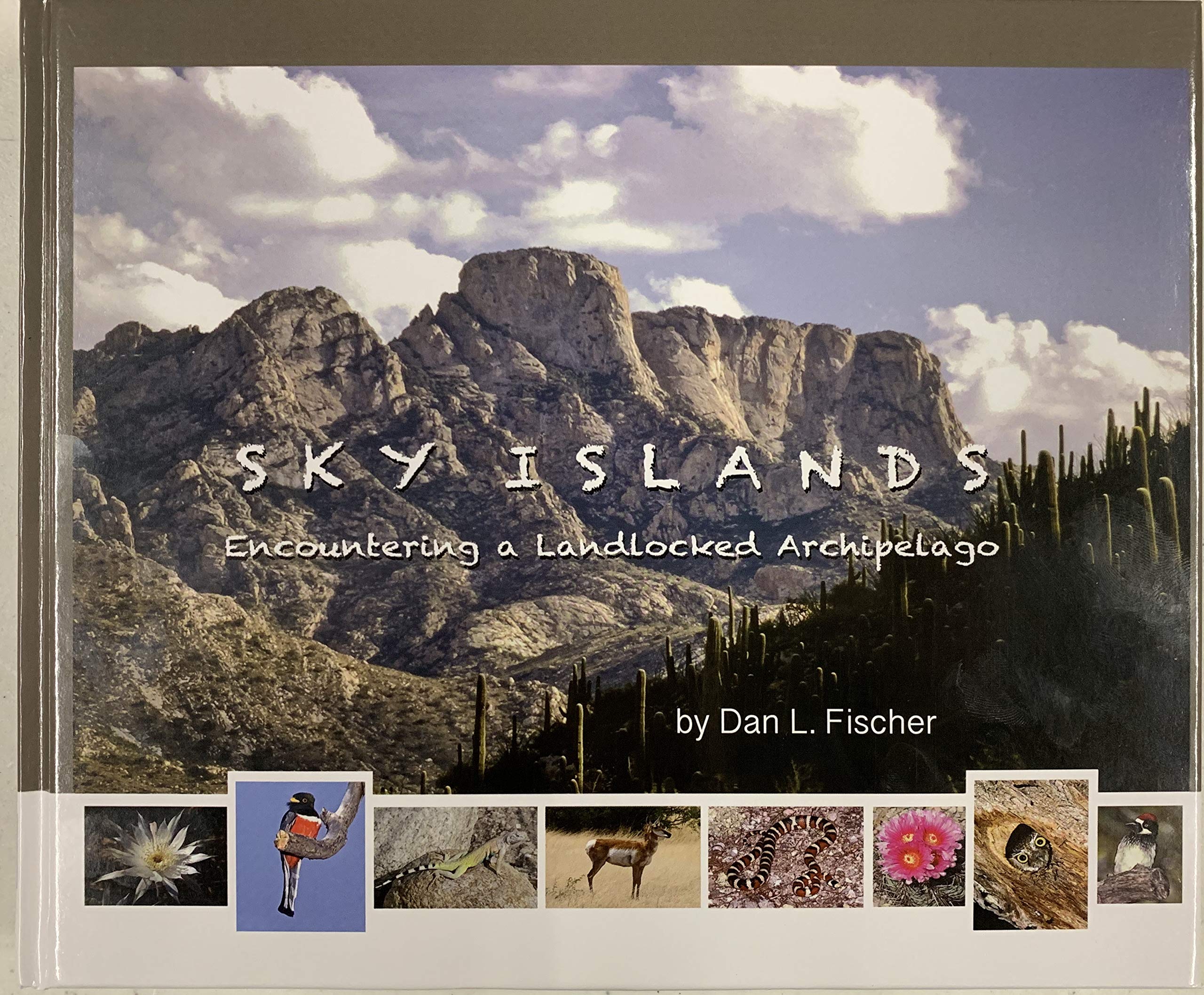 Sky Islands: Encountering a Landlocked Archipelago by Dan L. Fischer ...