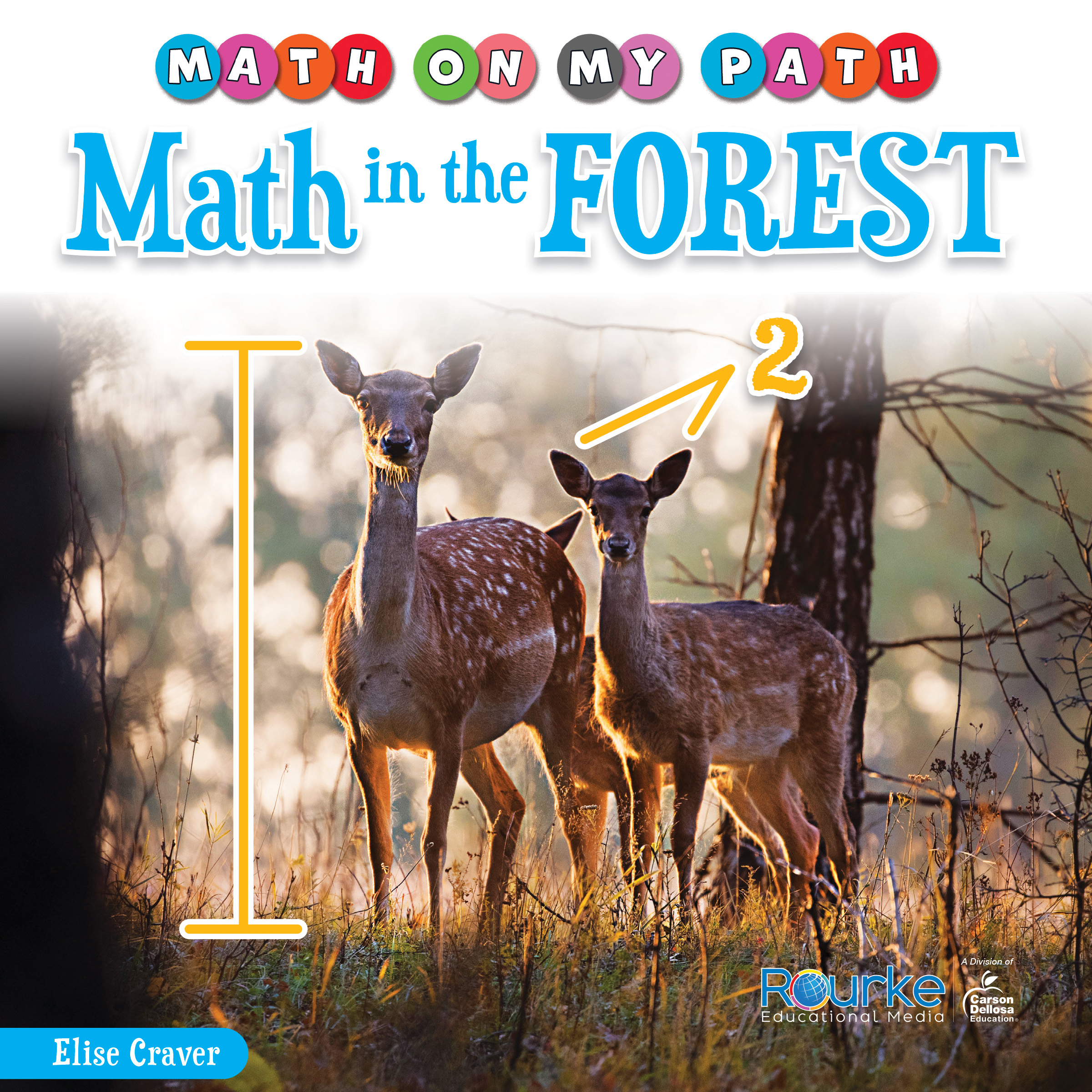 Math on my Path: Math in the Forest―Counting, Sorting, and Shape ...