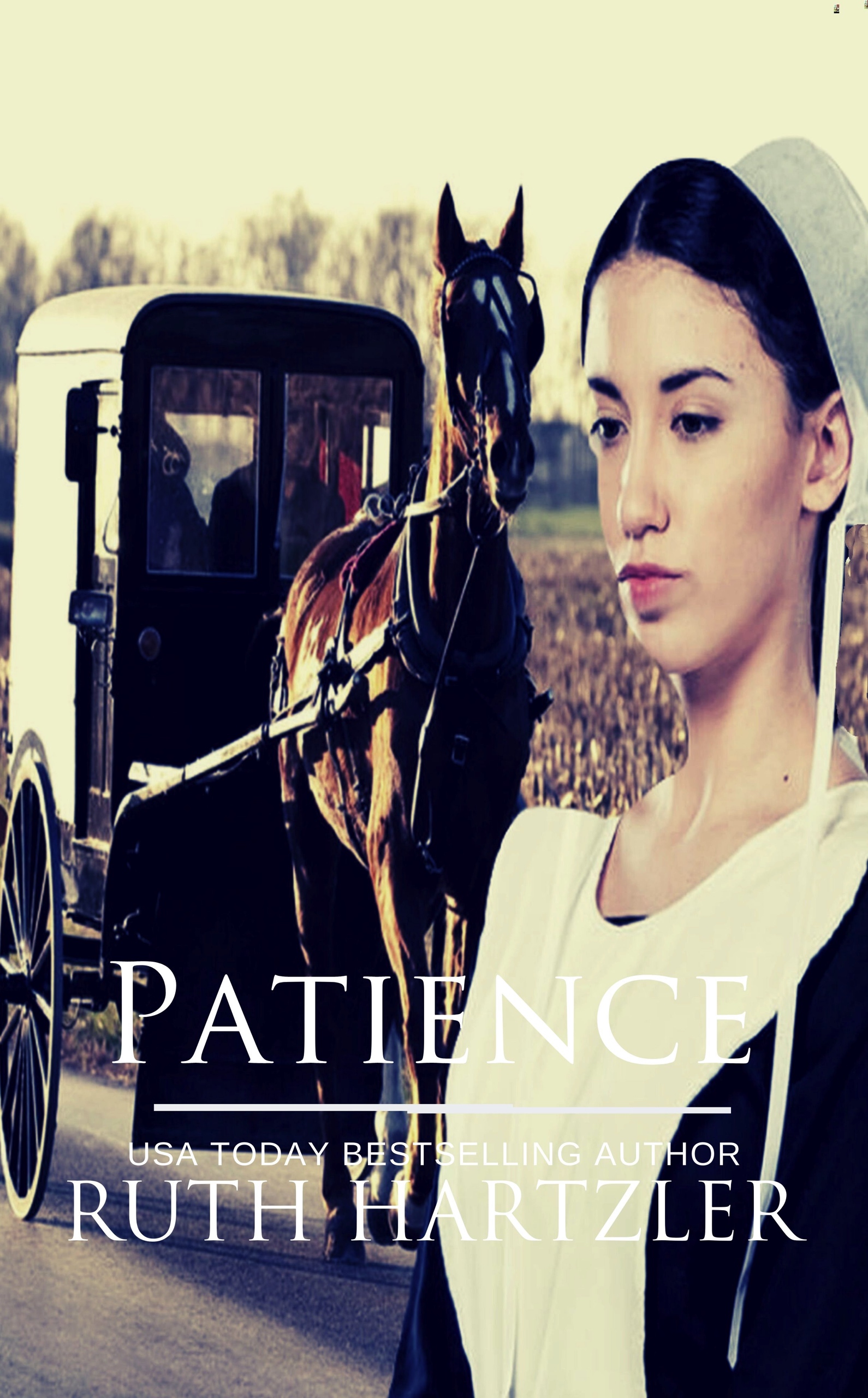Patience (The Amish Buggy Horse , #4) by Ruth Hartzler | Goodreads
