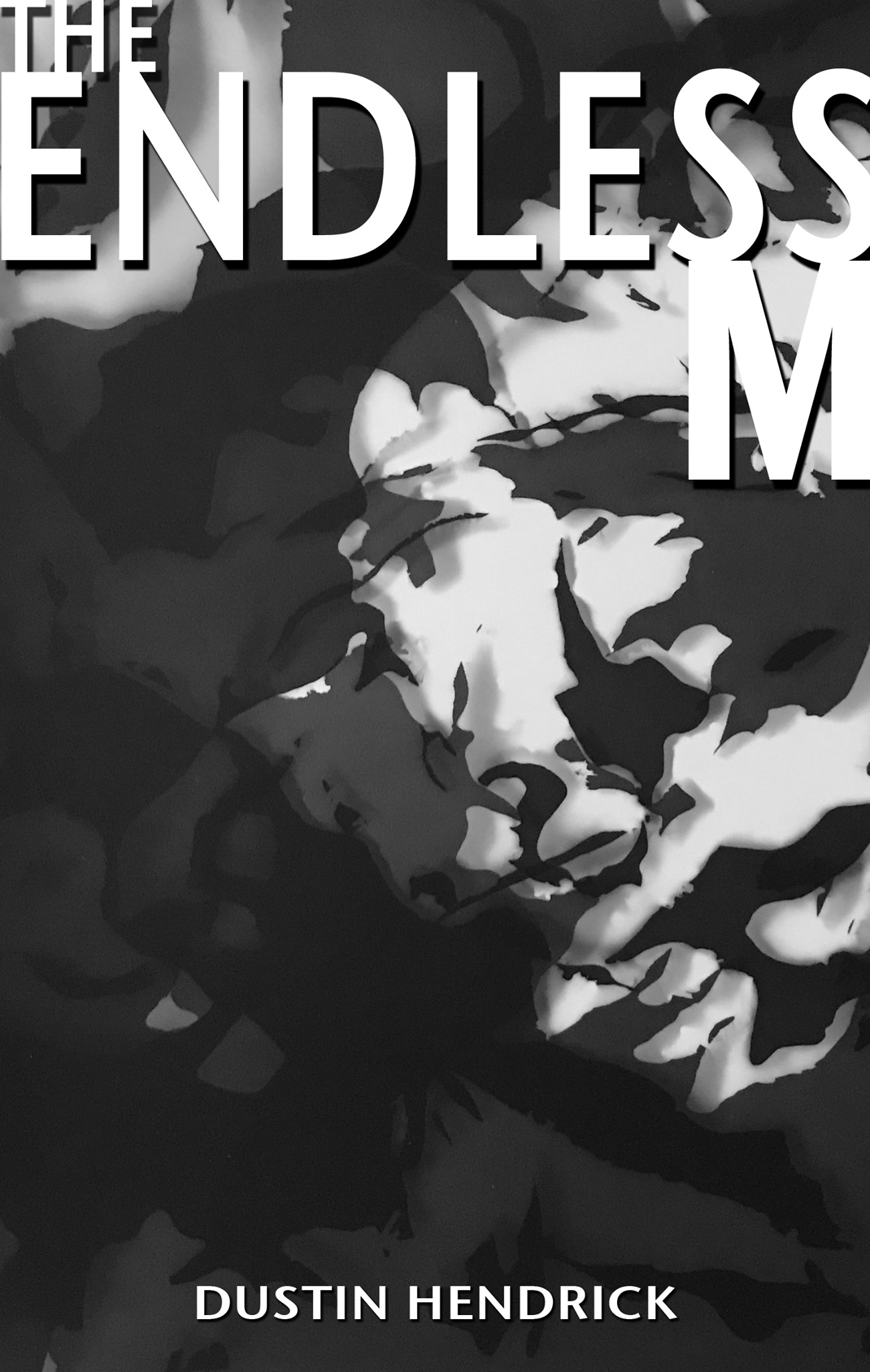 The Endless M by Dustin Hendrick | Goodreads
