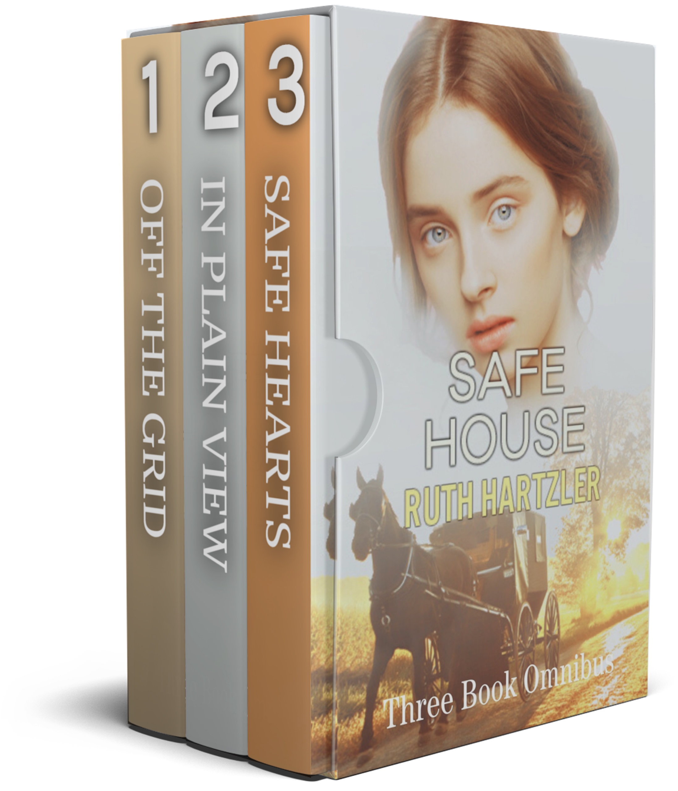 Amish Safe House:Three Book Box Set by Ruth Hartzler | Goodreads