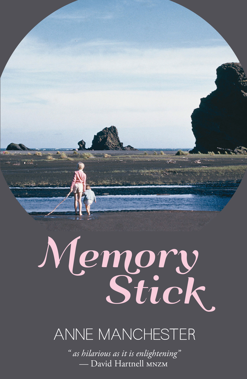 Memory Stick by Anne Manchester | Goodreads