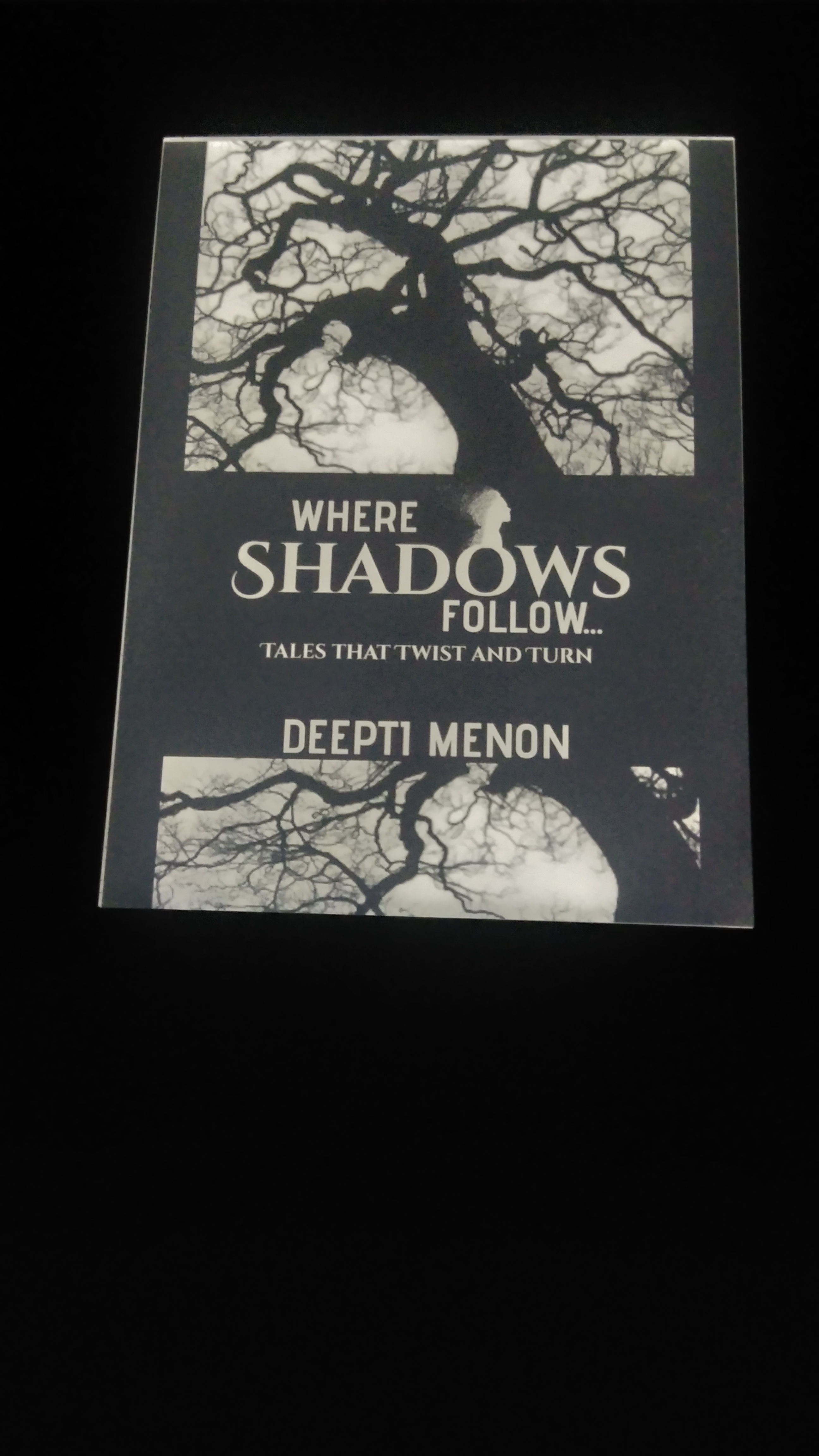 Where Shadows Follow by Deepti Menon | Goodreads