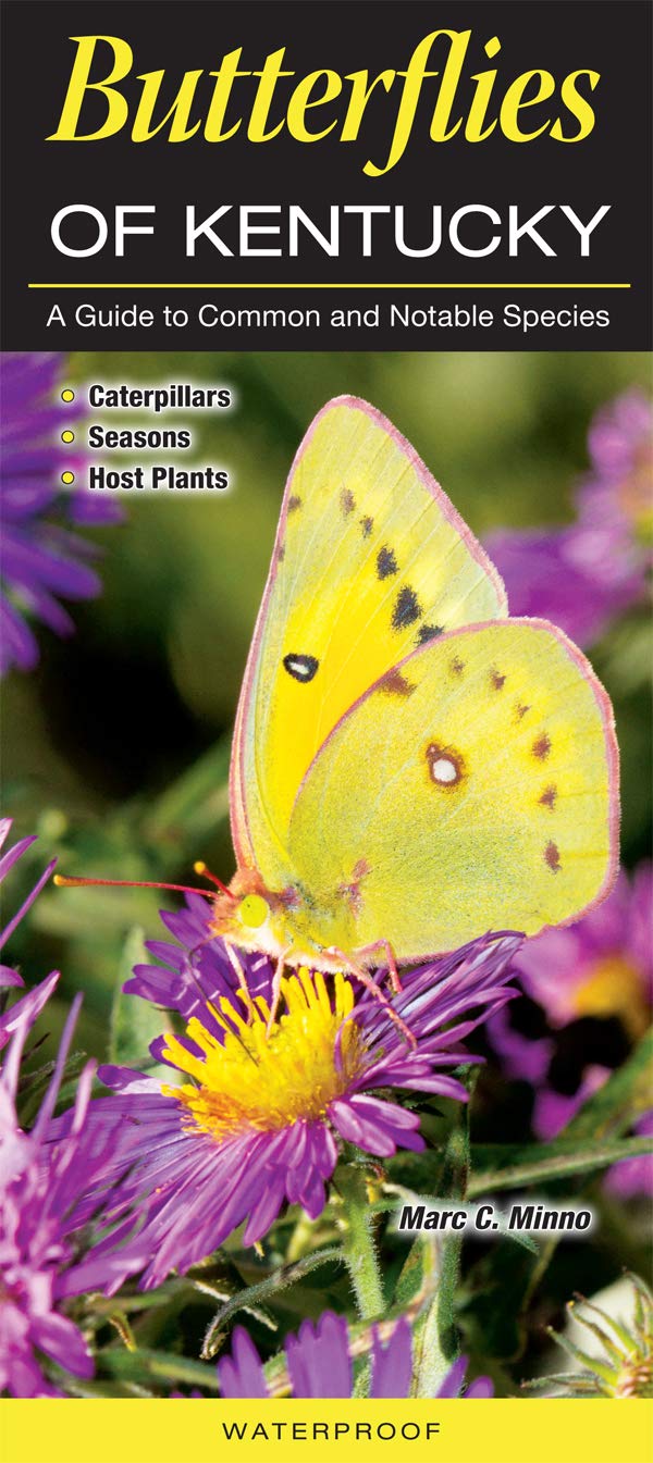 Butterflies of Kentucky A Guide to Common and Notable Species by Marc C ...