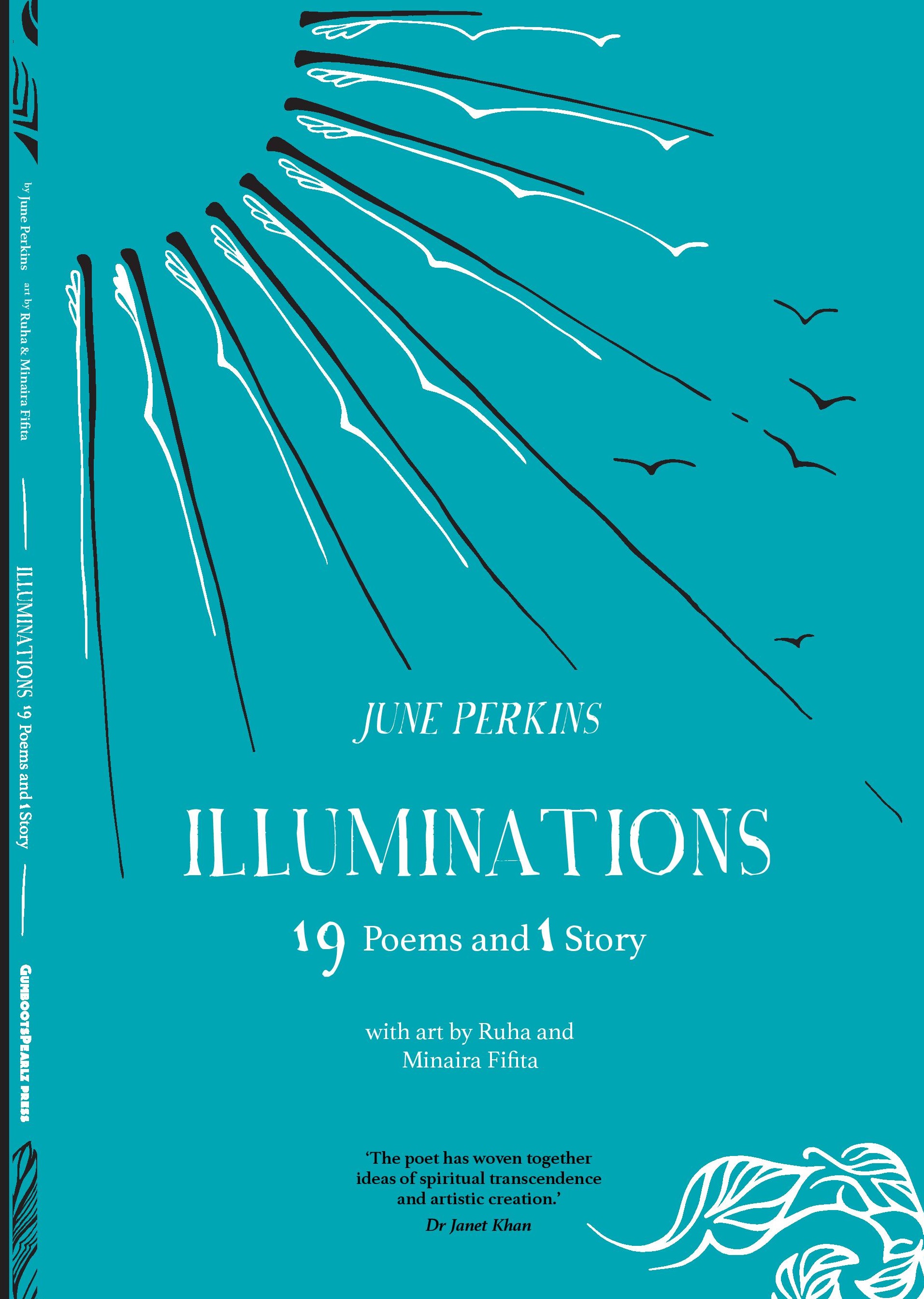 Illuminations: 19 poems and 1 story by June Perkins | Goodreads