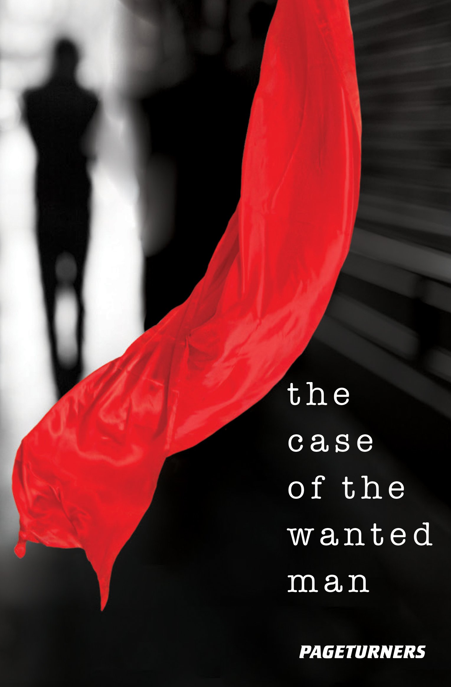 The Case of the Wanted Man (Detective) (Pageturners) by Anne Schraff ...