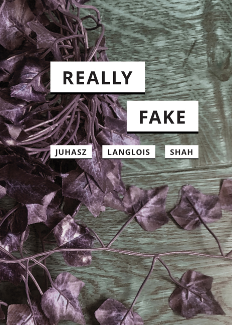 Really Fake (In Search of Media) by Alexandra Juhasz | Goodreads