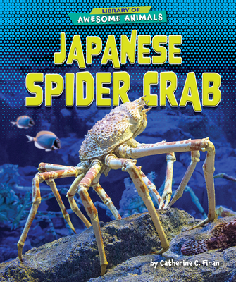 Japanese Spider Crab - Non-Fiction Reading for Grade 3, Developmental ...