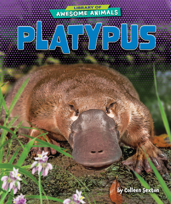 Platypus - Non-Fiction Reading for Grade 3, Developmental Learning for ...