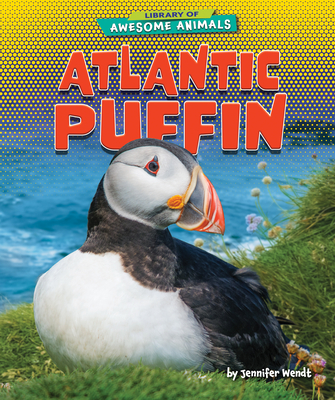 Atlantic Puffin - Non-Fiction Reading for Grade 3, Developmental ...