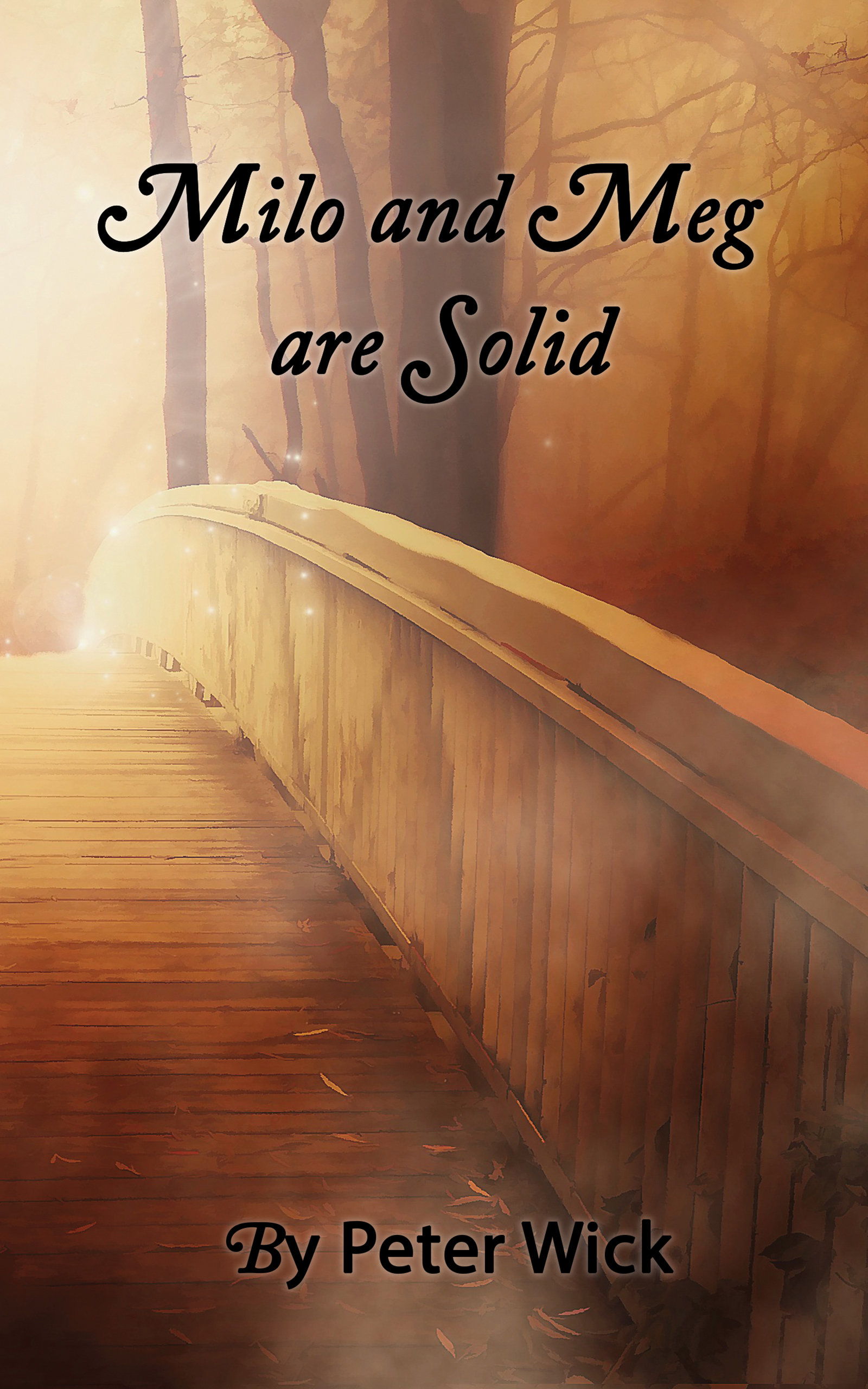 Milo and Meg are Solid by Peter Wick | Goodreads