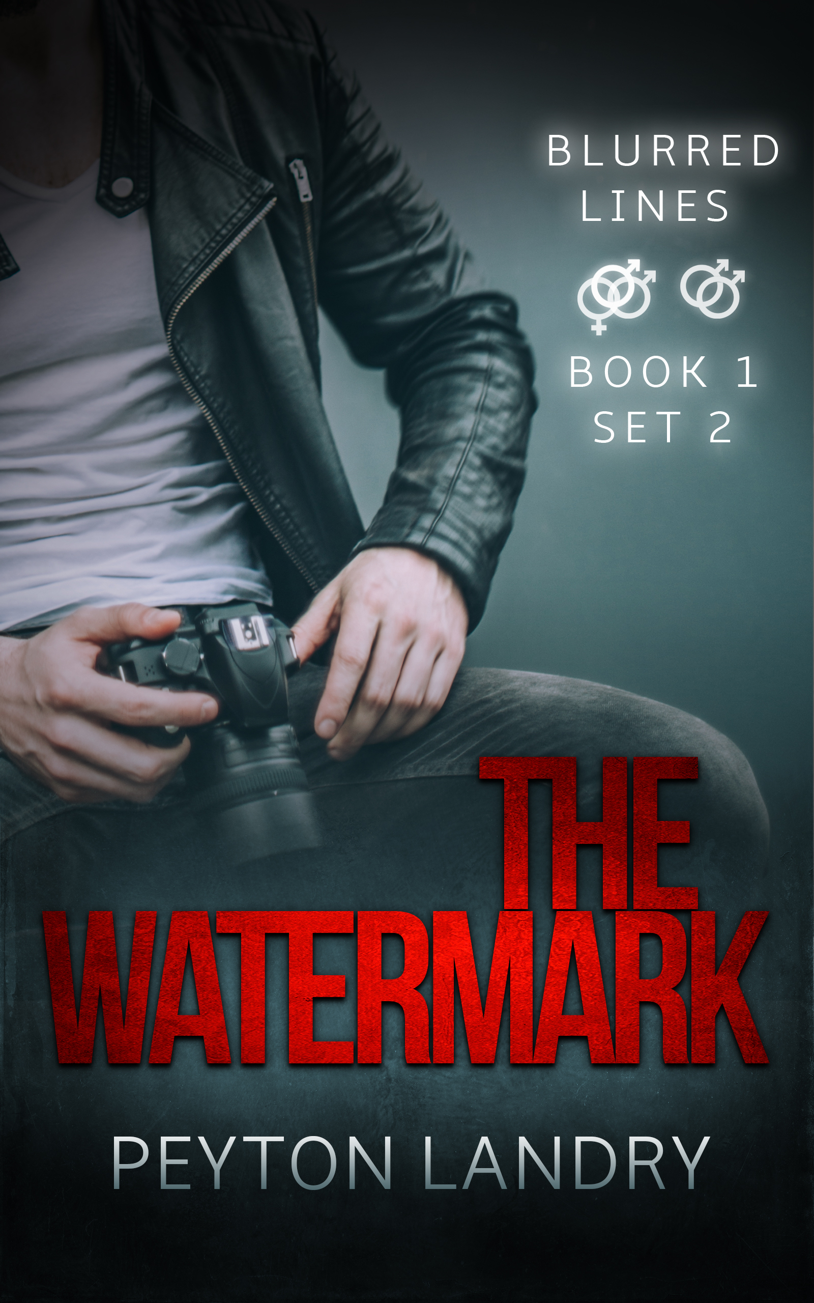 The Watermark (Blurred Lines Series- Set 2 - Book 1) by Peyton Landry ...
