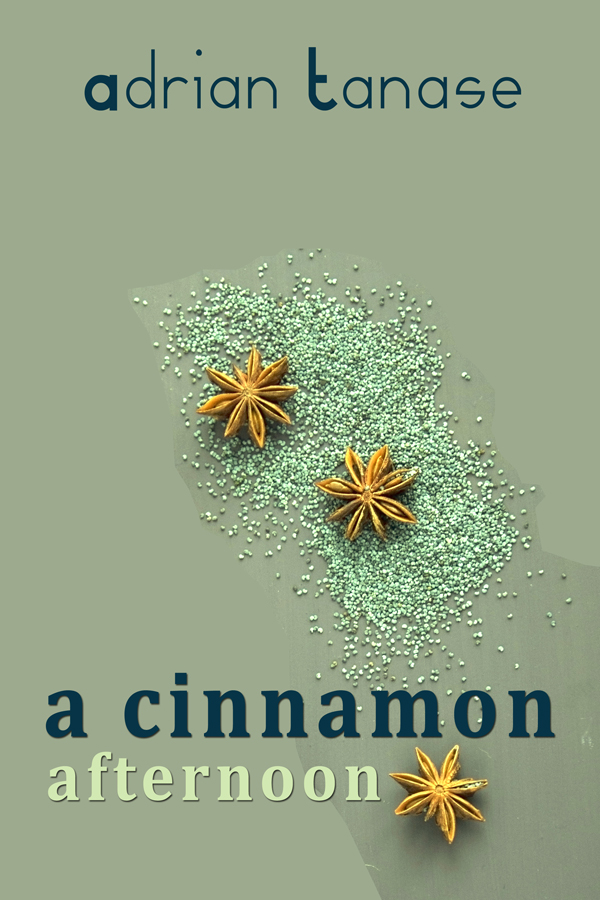 A Cinnamon Afternoon by Adrian Tanase | Goodreads