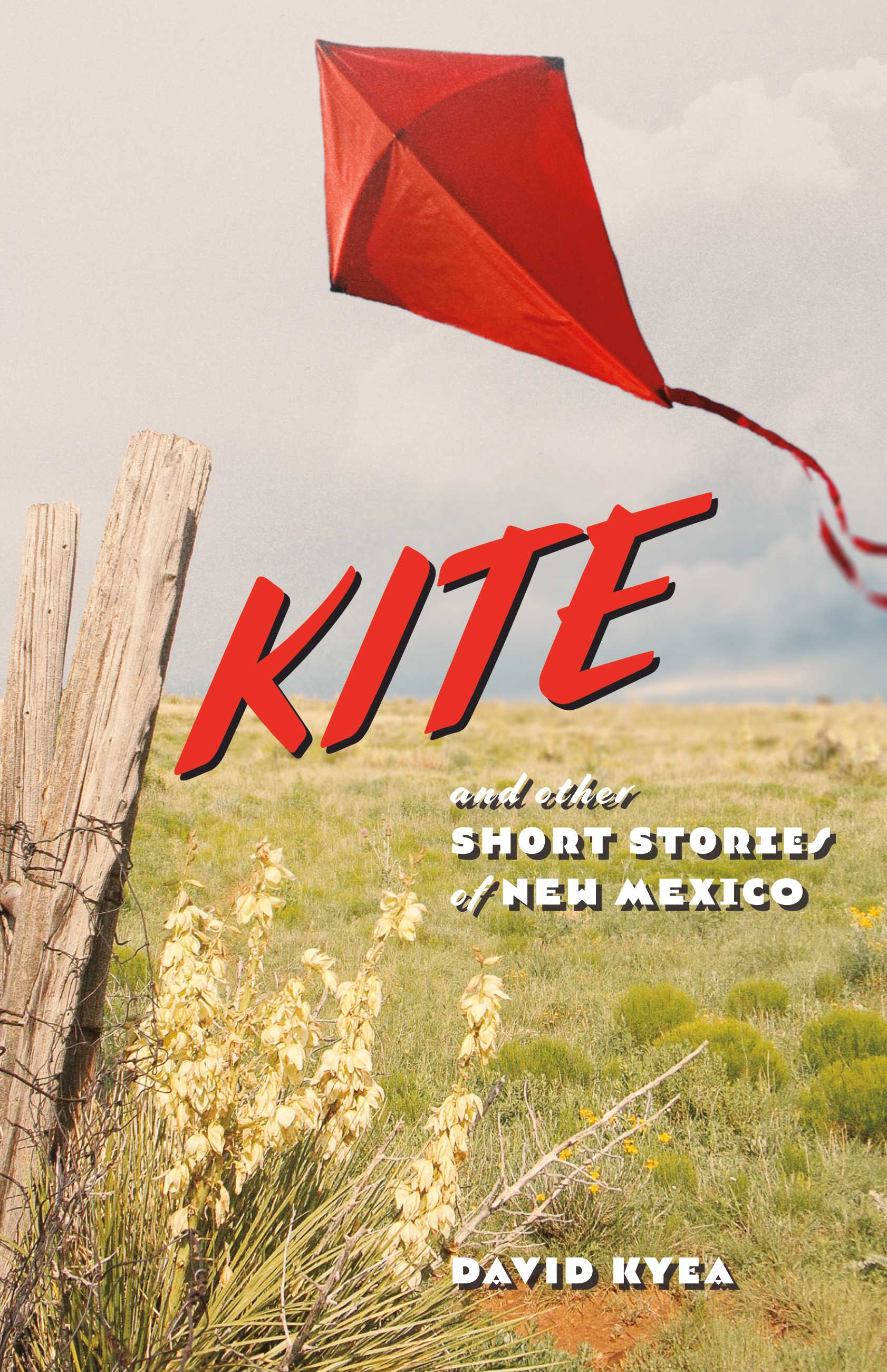 KITE And Other Short Stories of New Mexico by David Kyea | Goodreads